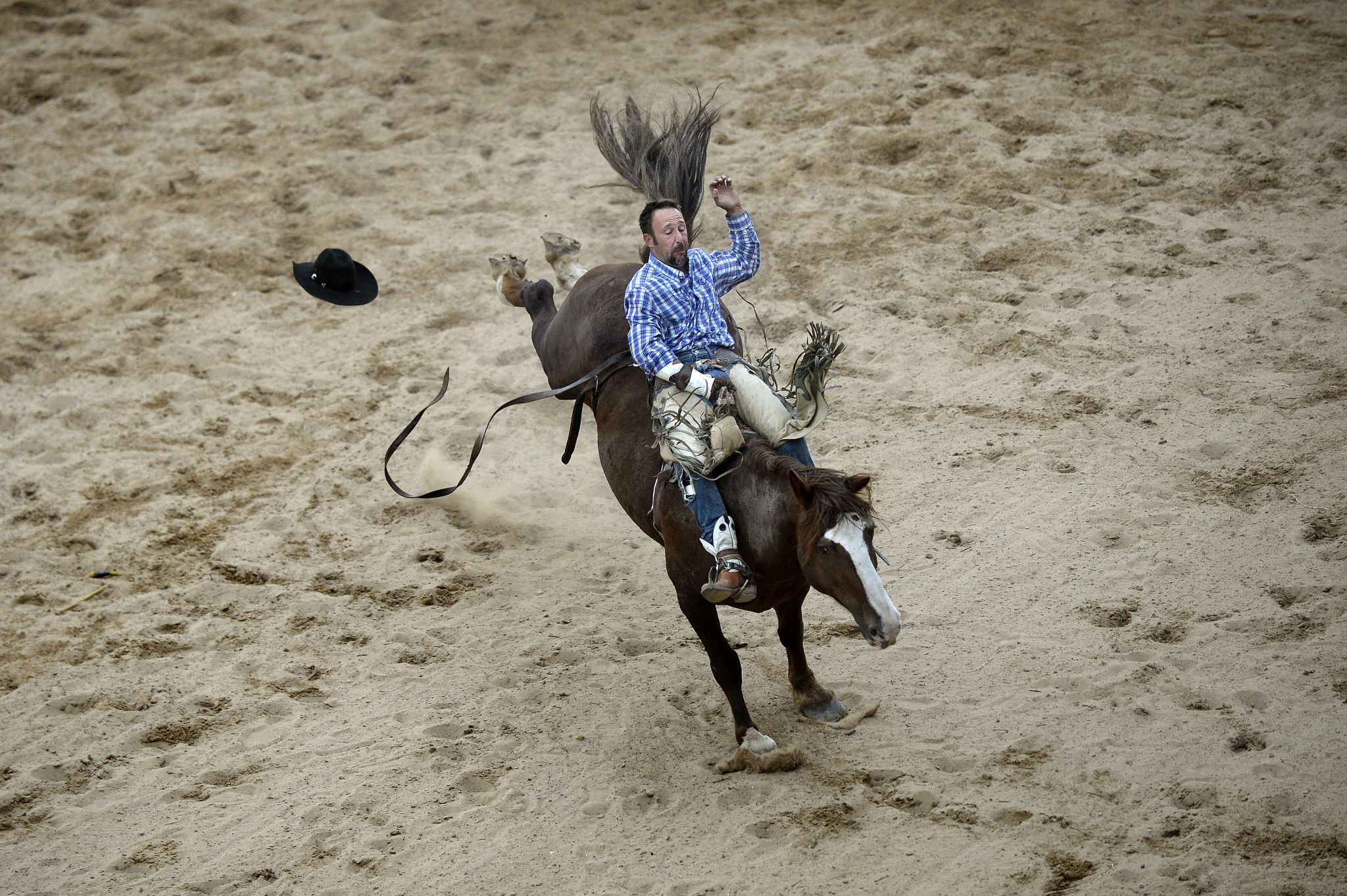 Super Kicker Rodeo at the Midland County Fair