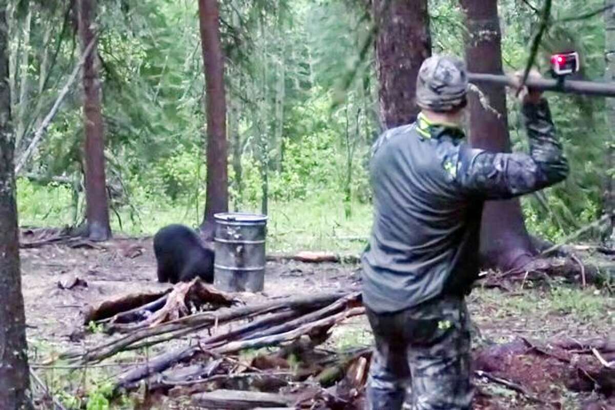 Man kills bear with homemade spear attached to GoPro