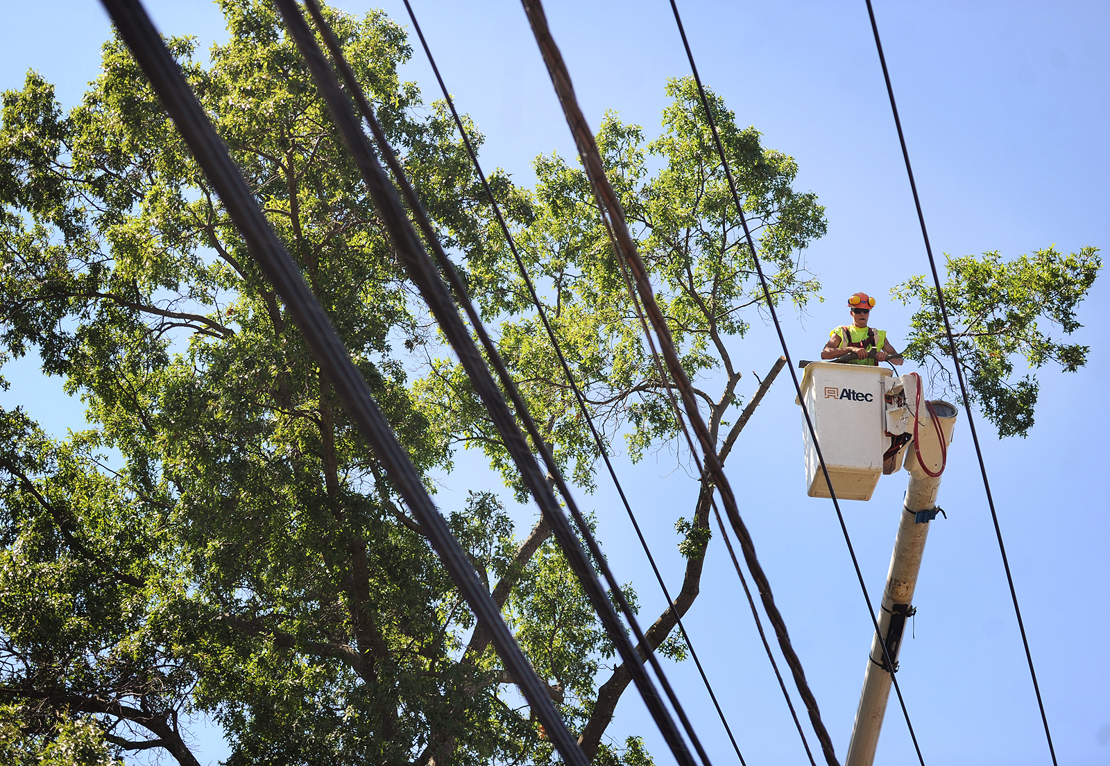 UI battles trees to keep power going