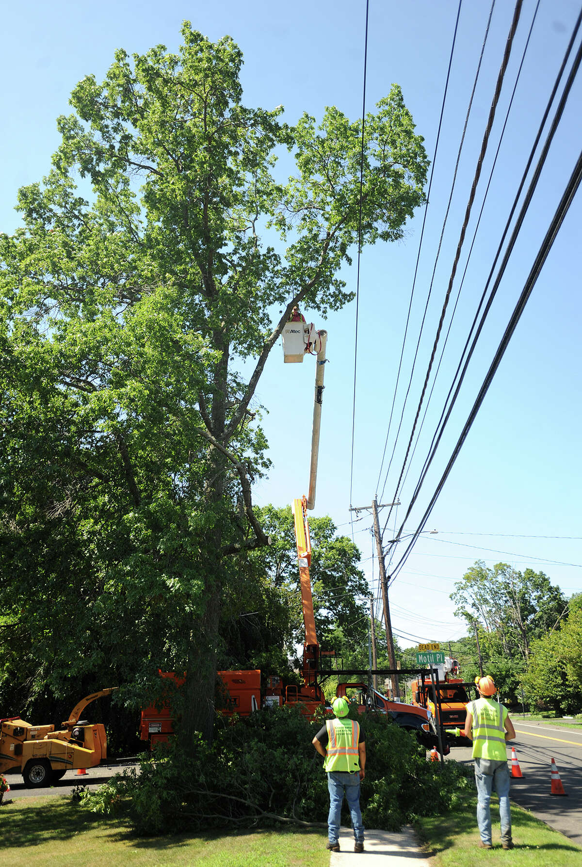 UI battles trees to keep power going