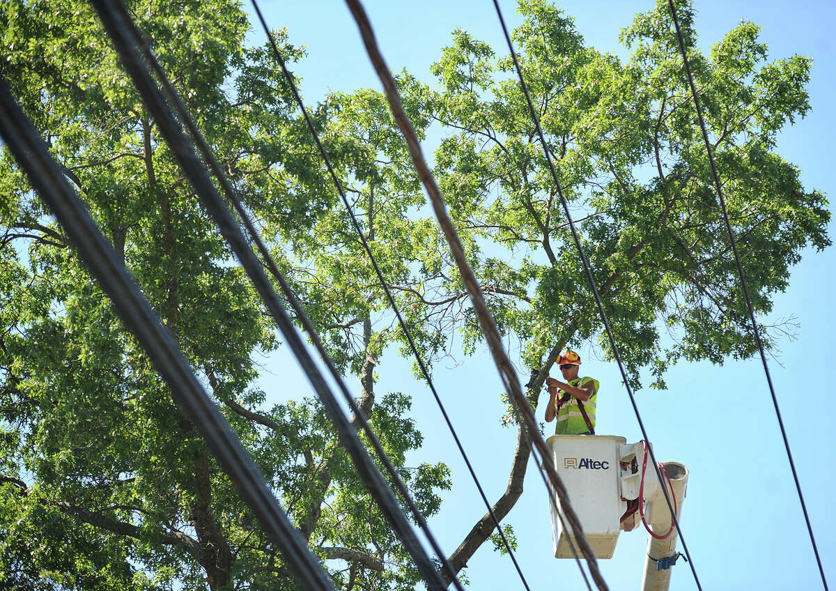 UI battles trees to keep power going