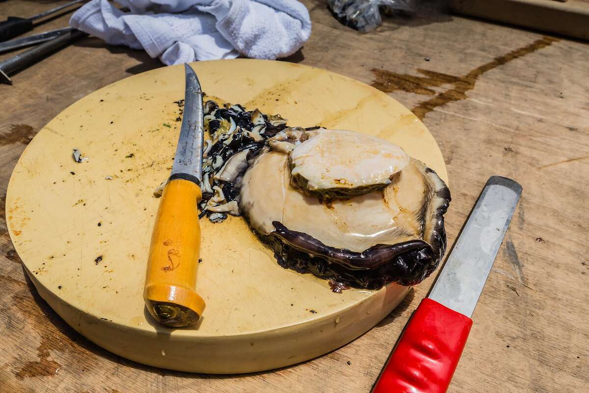 In California’s abalone country, the hunt continues to evolve
