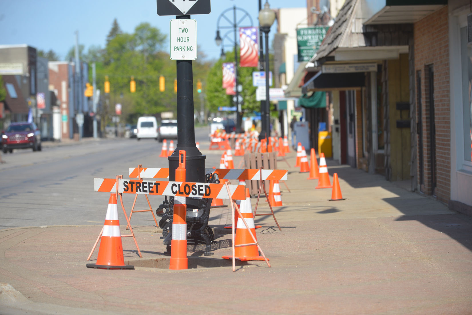 City continues to remove dead ash trees in Bad Axe