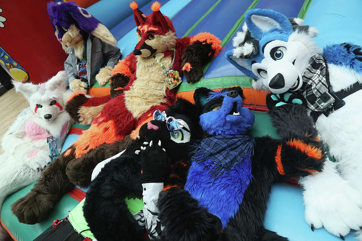 Video: San Jose furry convention attendees help make domestic violence ...
