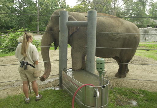 Children's book immortalizes former Detroit Zoo elephants