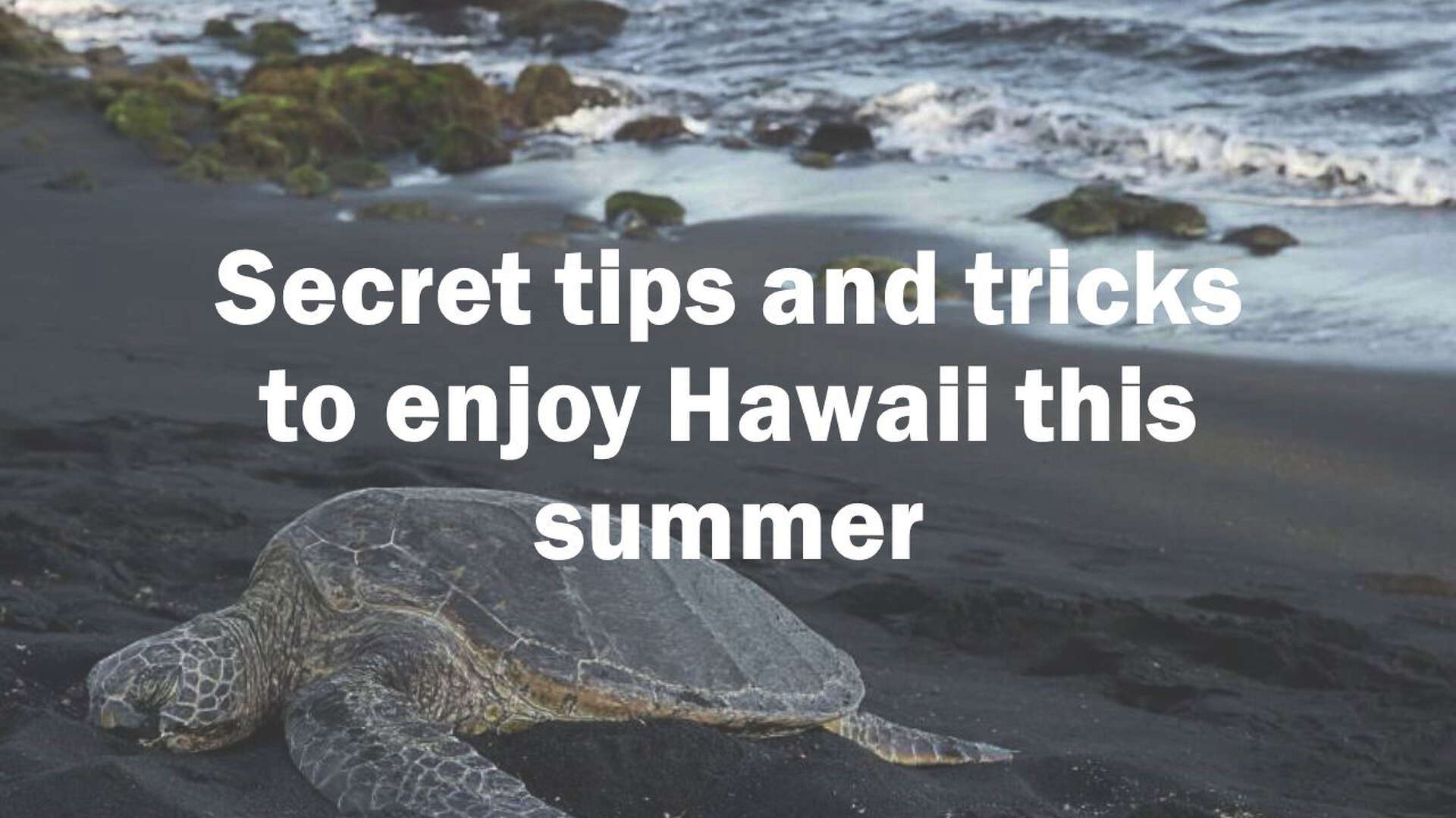 Secret tips and tricks to enjoy Hawaii this summer