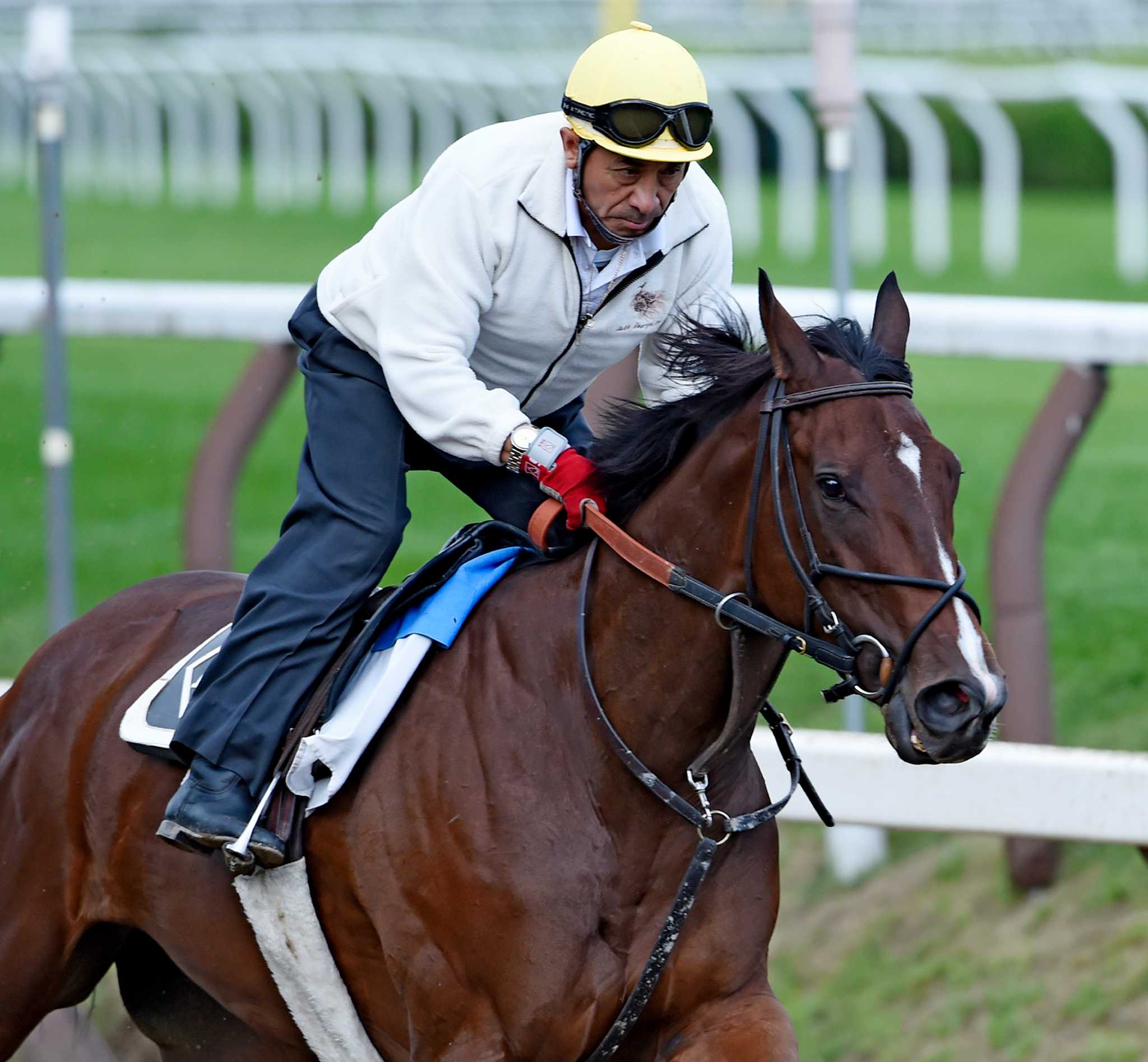 Trainer Dale Romans looking for another Saratoga upset