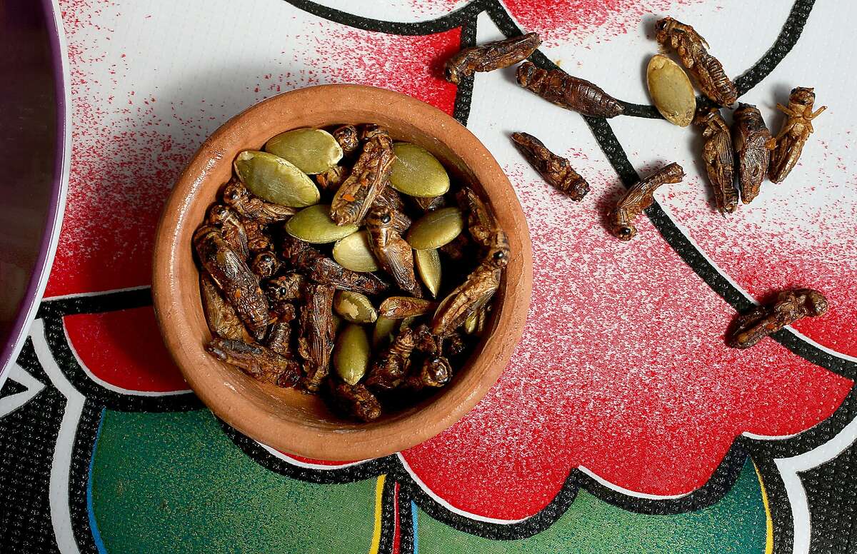 Silicon Valley’s power brain food: Crickets