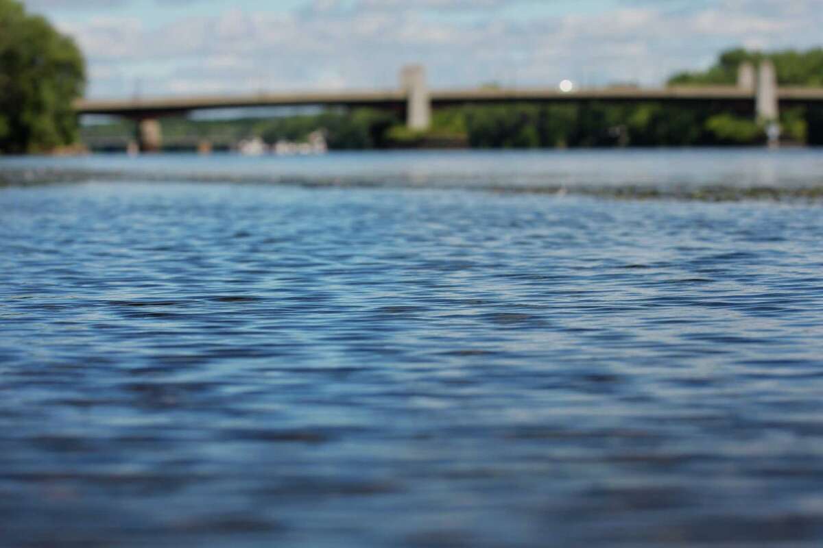 DEC Commissioner questions PCB cleanup