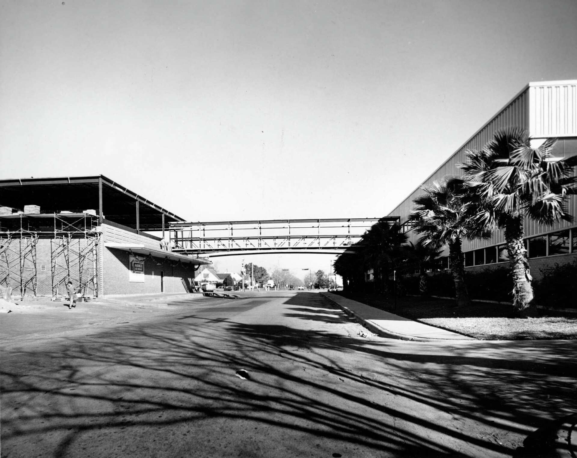 Shell Oil helped ignite the growth of Houston's downtown skyline