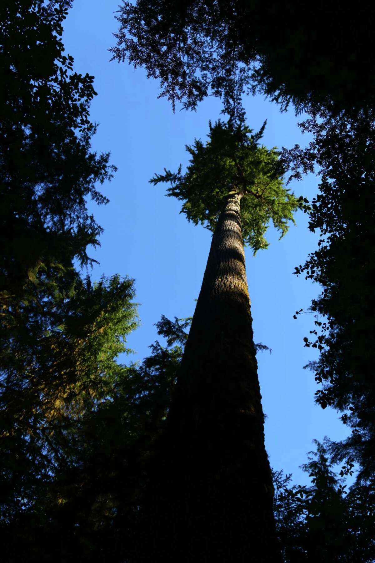 Taking in the many splendors of Olympic National Park