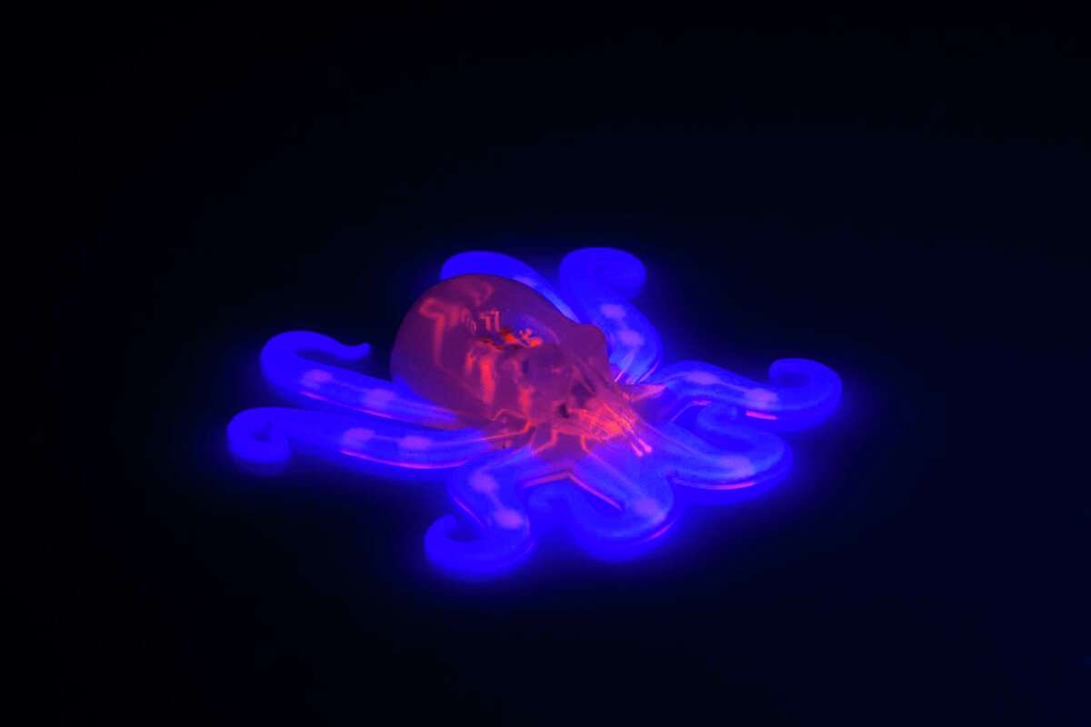 Meet Octobot, a robot that’s a real softie — and cheap