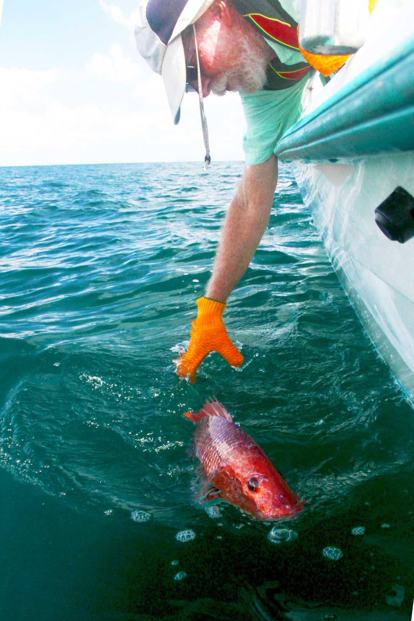 Fishing open Gulf an unrivaled experience