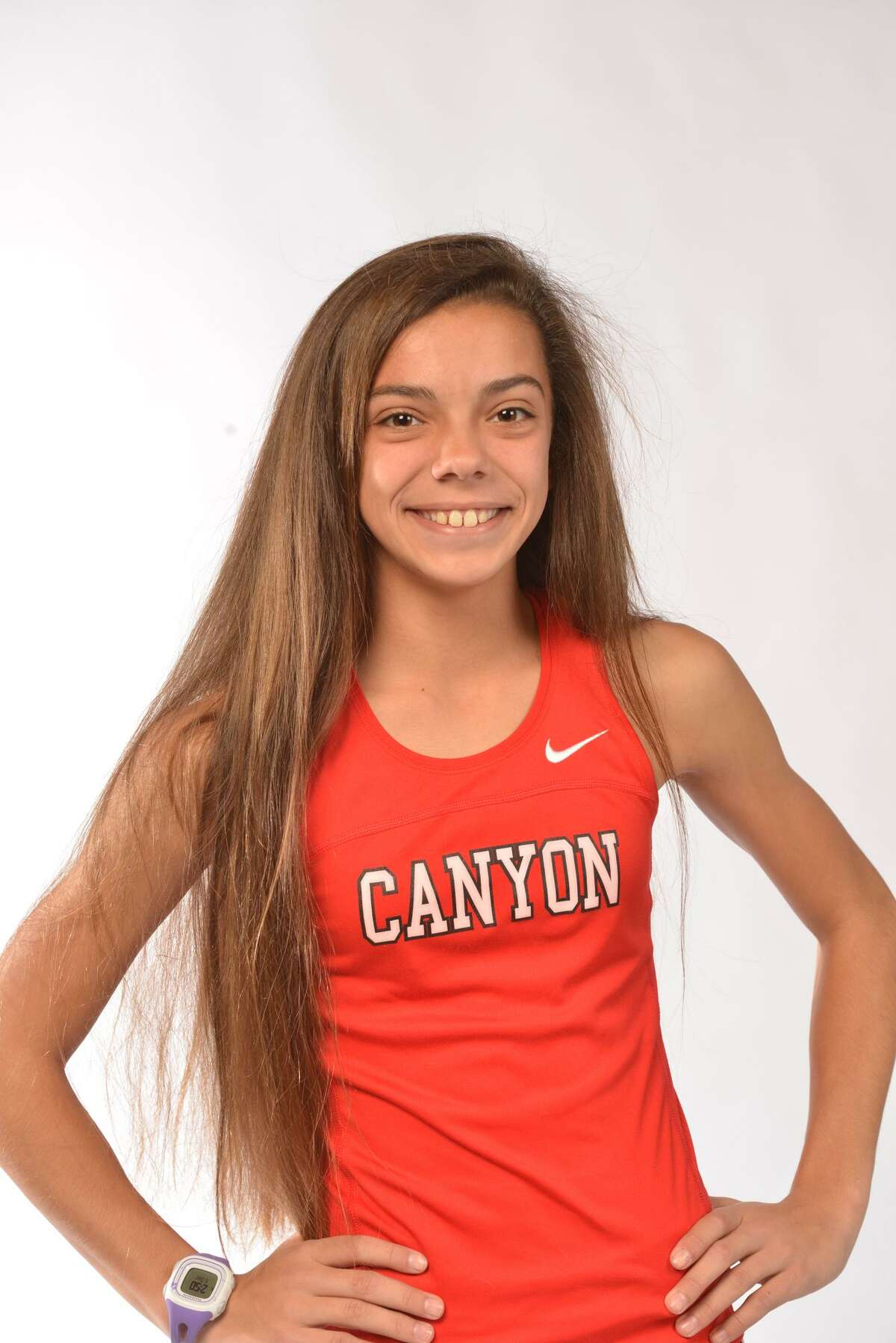 H.S. cross country: 2016 season preview