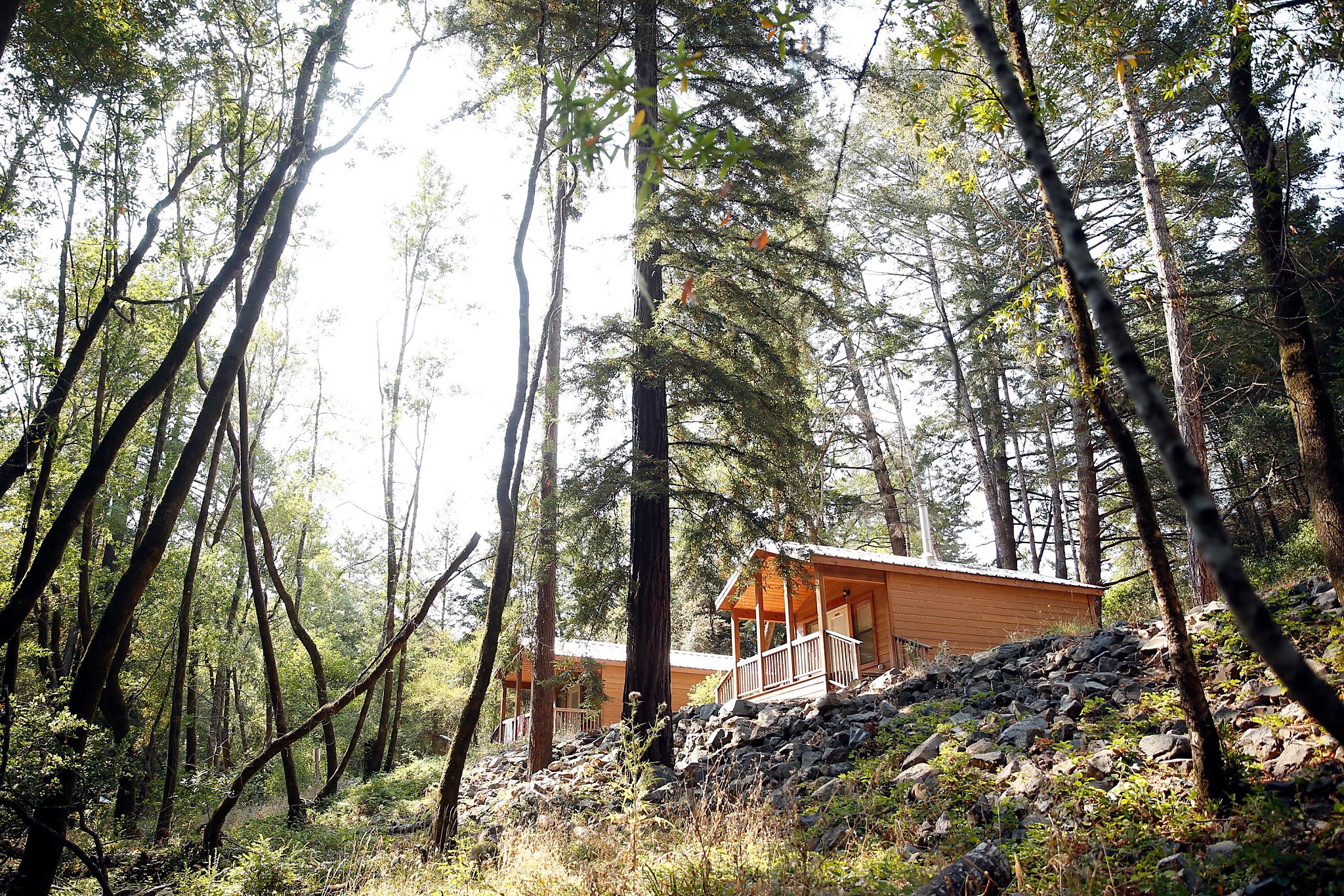 Hoping to camp in California in 2021? Now is the time to book your dates