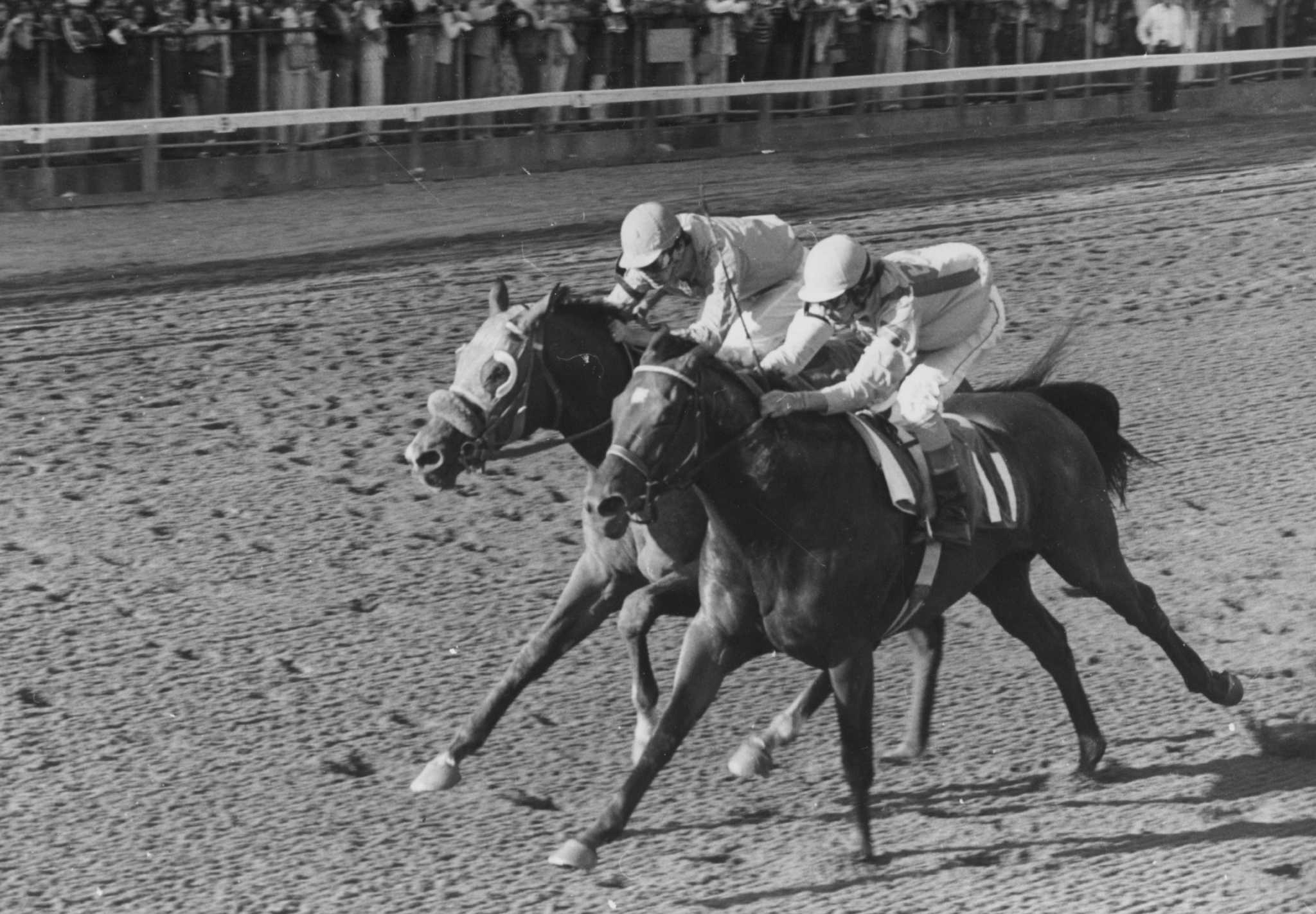 1977 Travers remembered for large field, marred finish