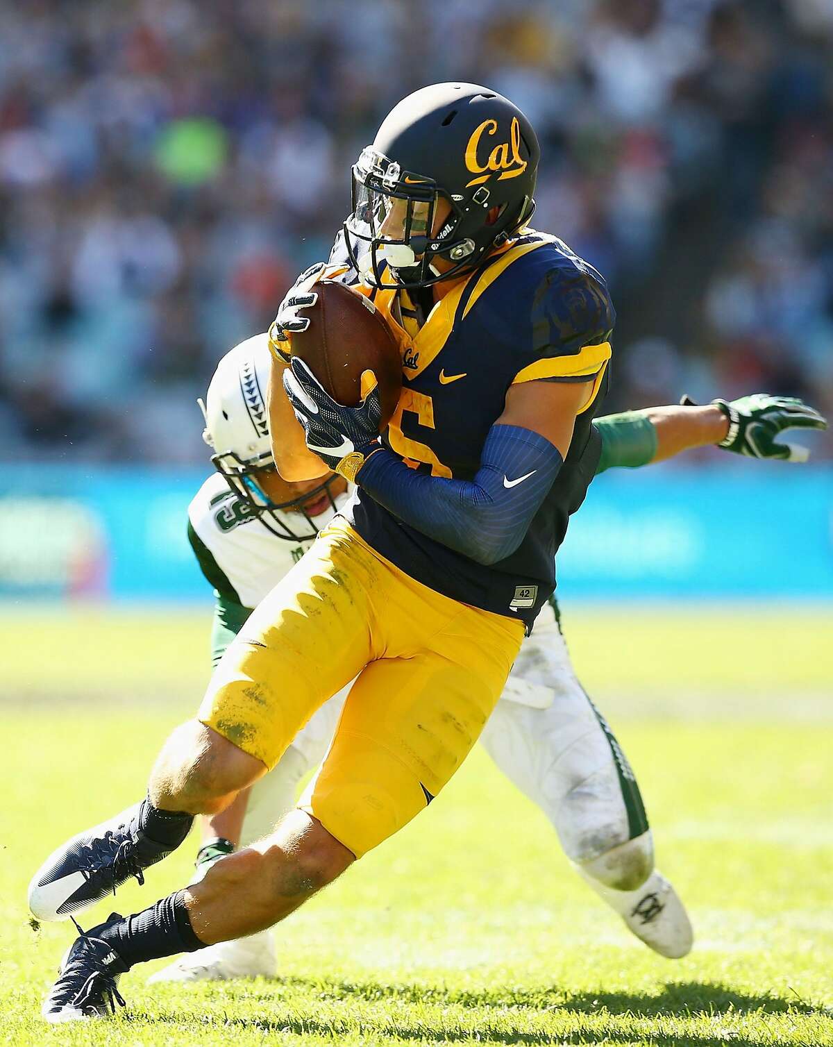 Chad Hansen emerges as Cal’s go-to receiver