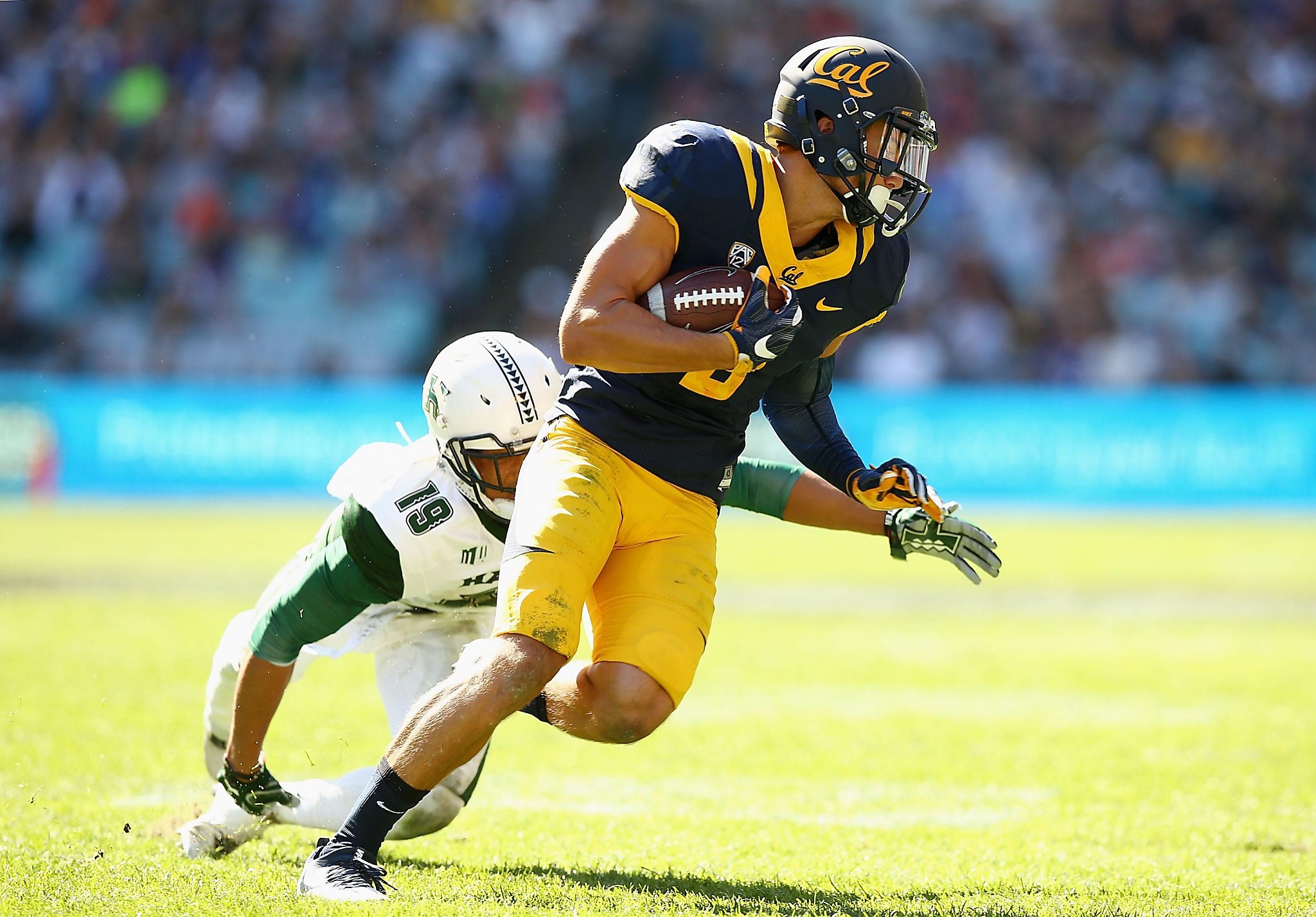 Chad Hansen emerges as Cal’s go-to receiver