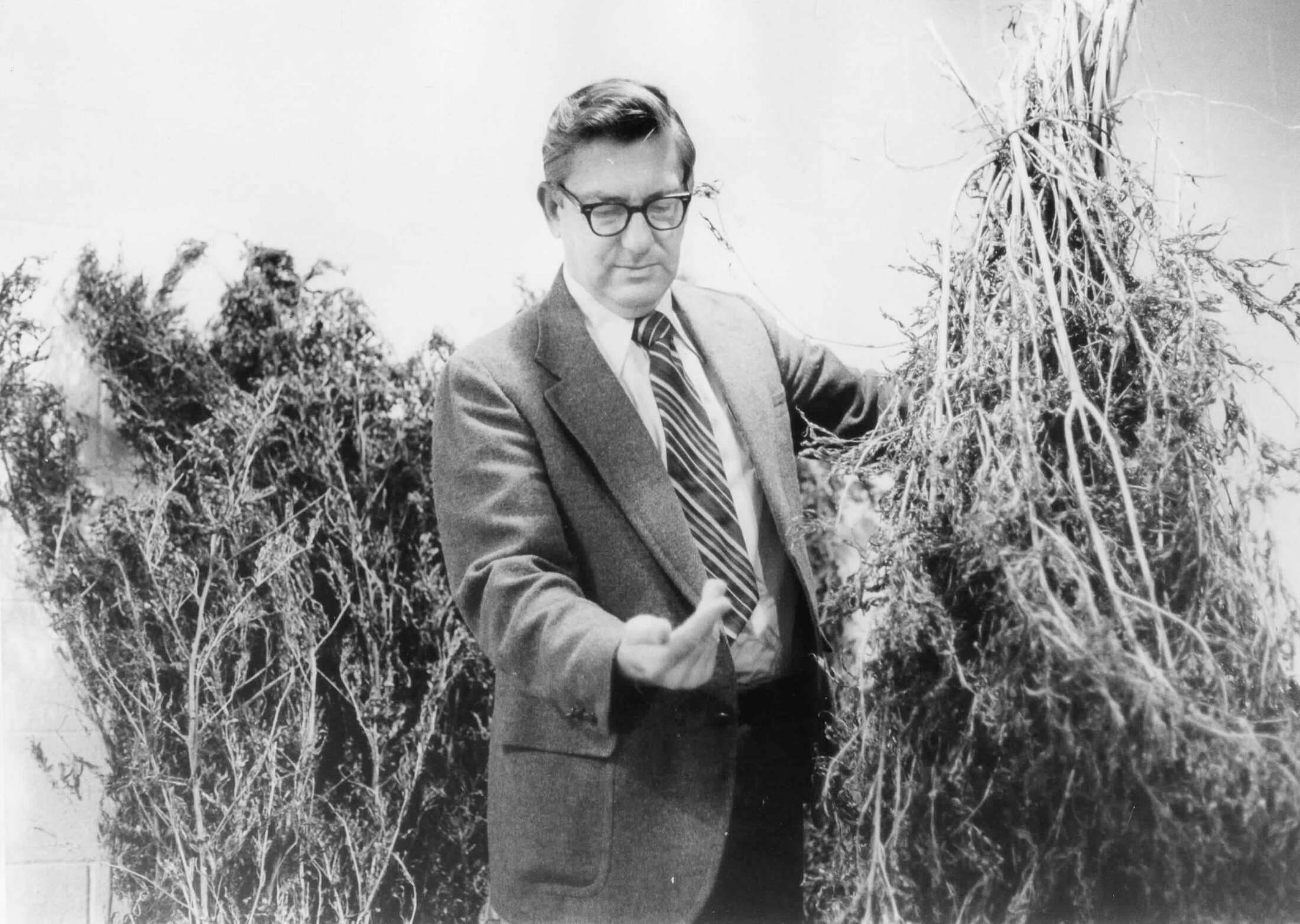 Former Midland County sheriff, State Rep James McNutt dead at 89`