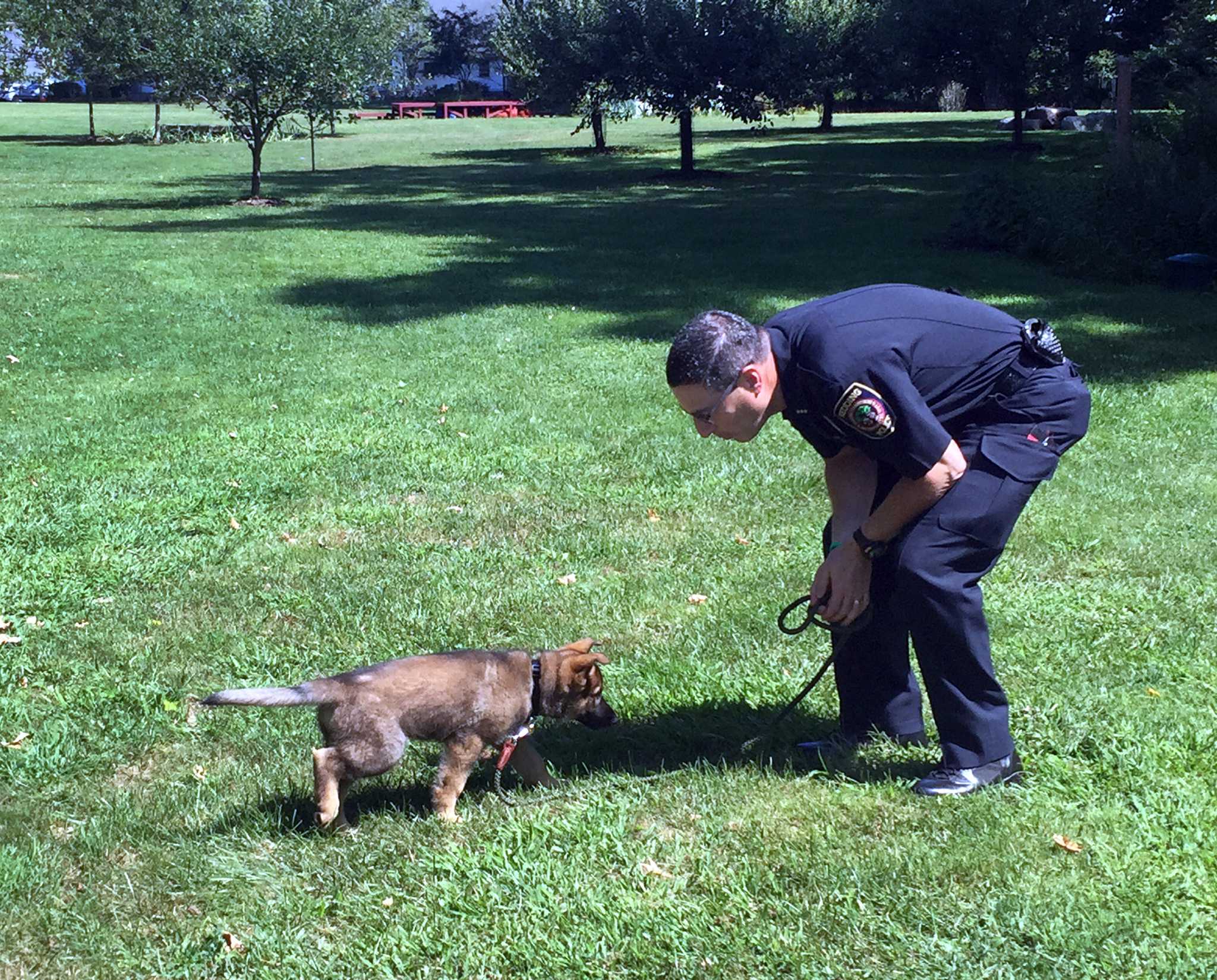 Redding police chief helps raise guide dog