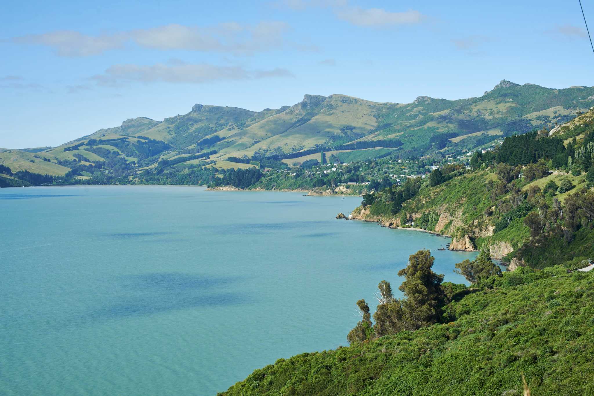 Geologist Discover Eighth Continent New Zealand geologist-discover-eighth-continent-new-zealand