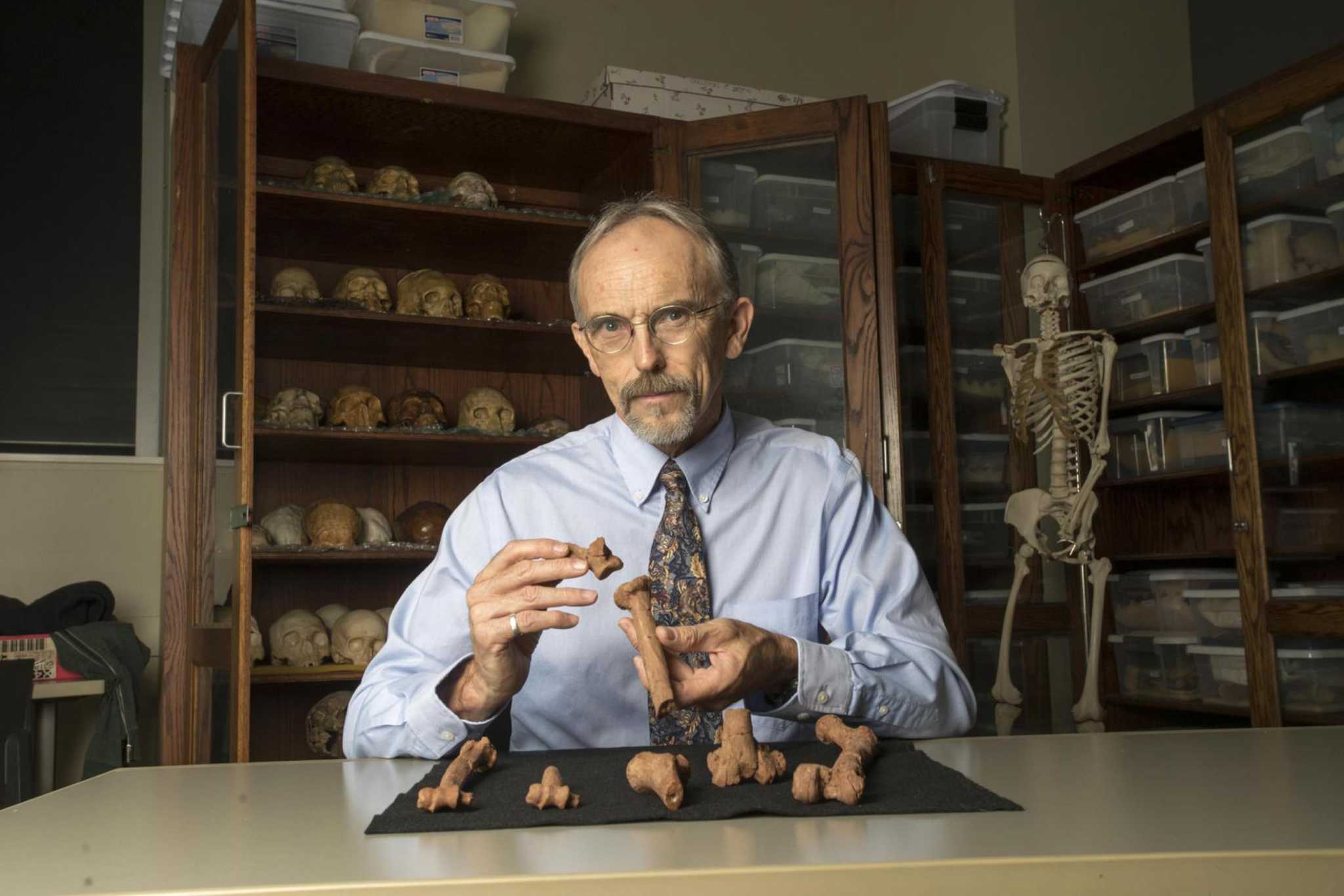 UT researchers crack case of how Lucy died 3.2 million years ago