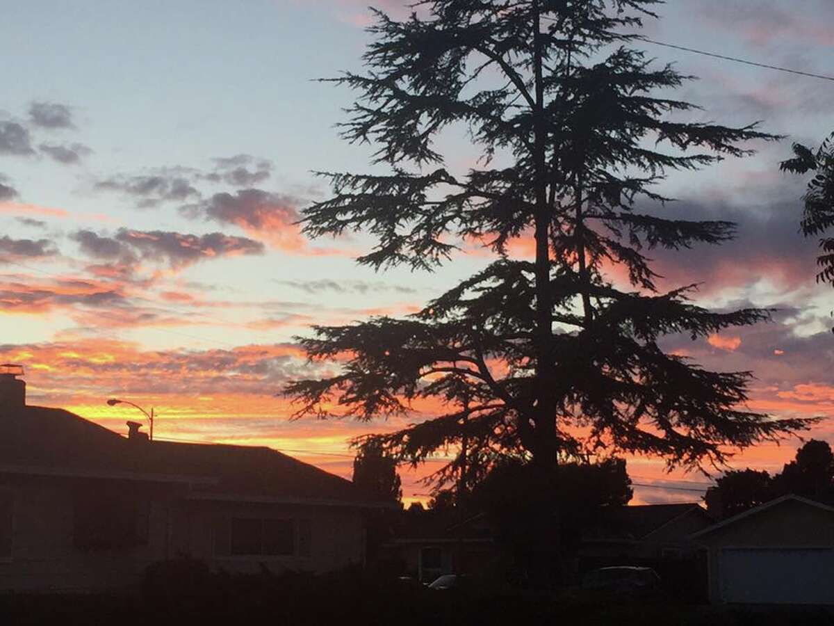 Bay Area locals flood social media with photos of last night's stunning ...