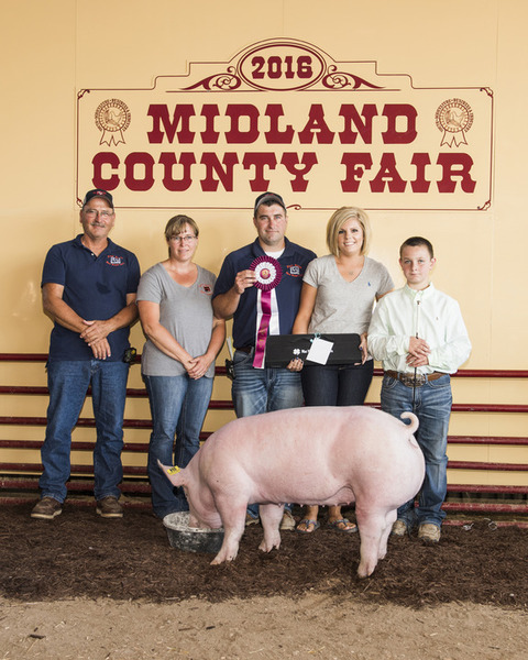 Midland County Fair Grand Champion, Reserve Champion winners announced