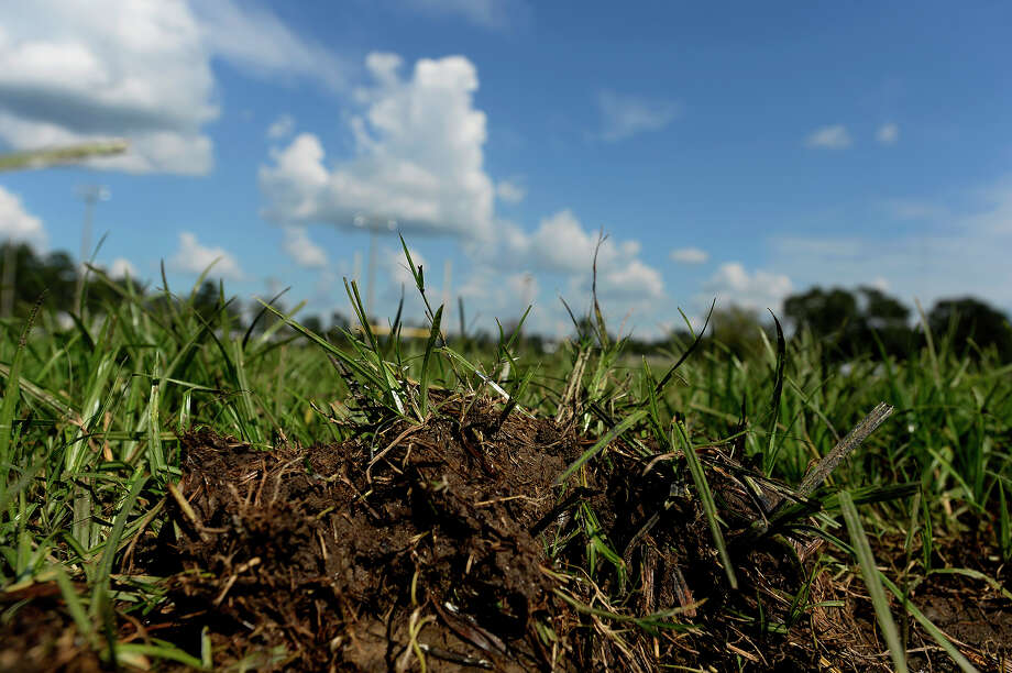 Rain renews grass versus turf field debate at Southeast Texas high ...