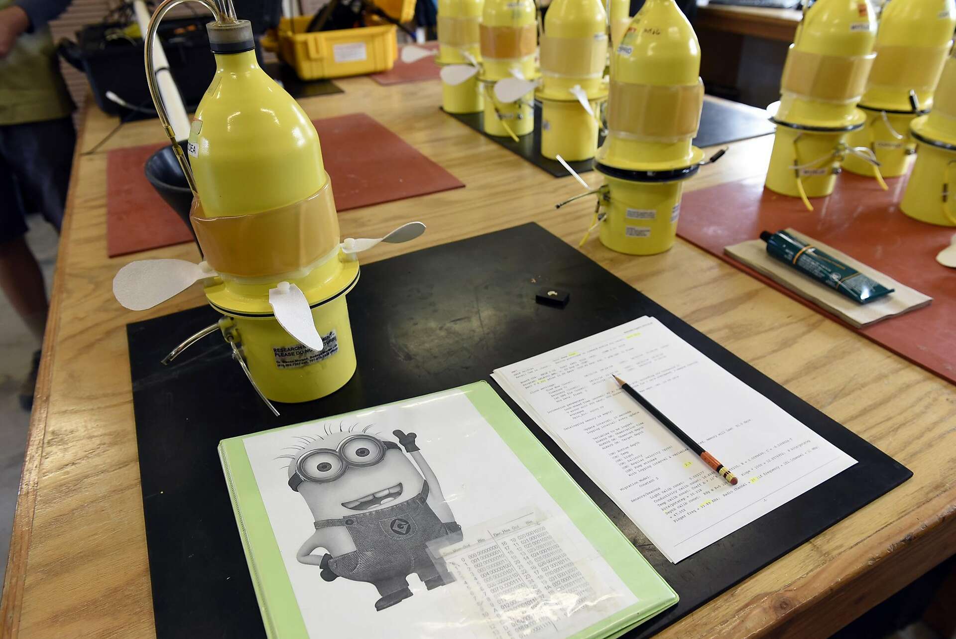 Minion-like sea-bots spy on fragile Pacific ecosystem