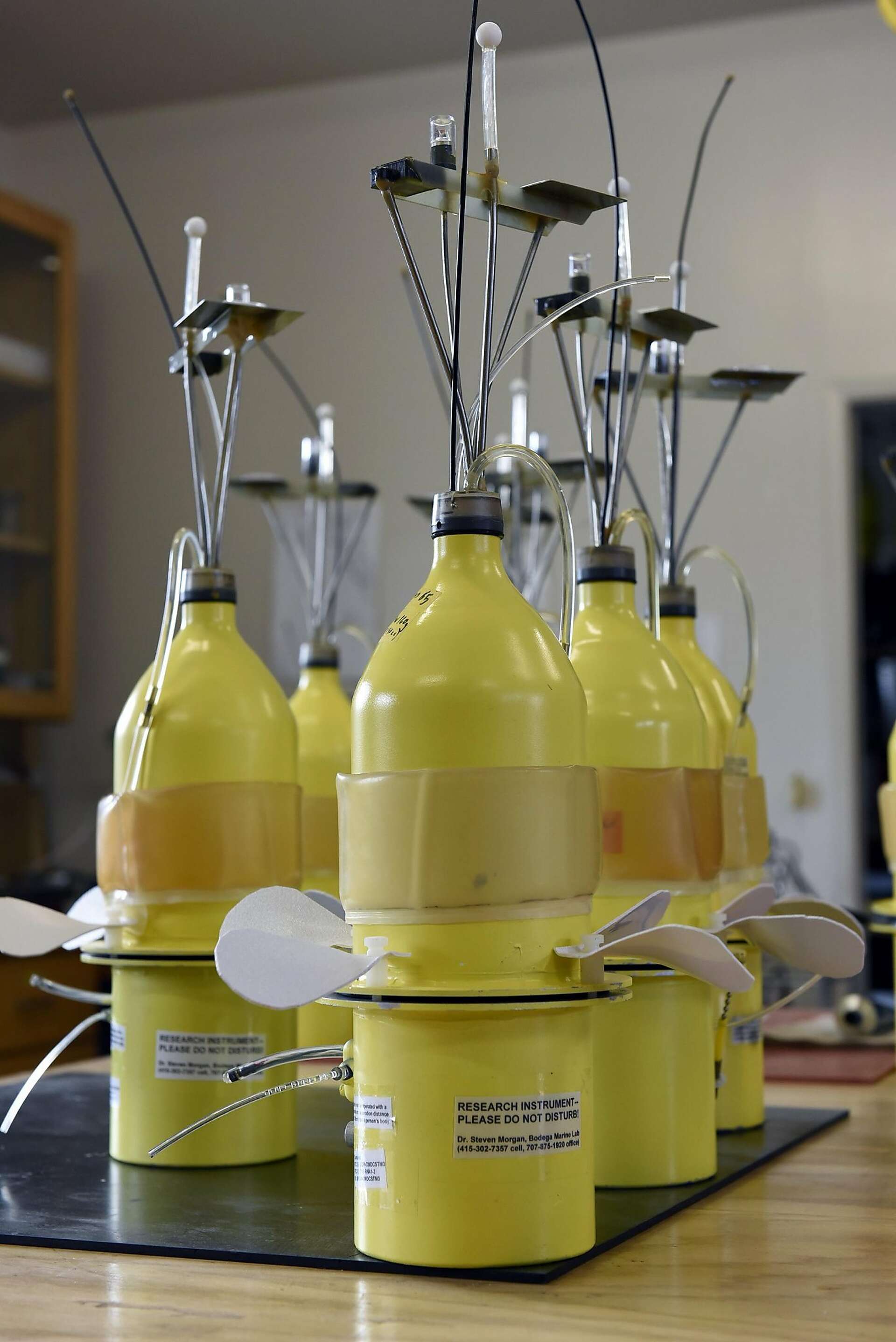 Minion-like sea-bots spy on fragile Pacific ecosystem