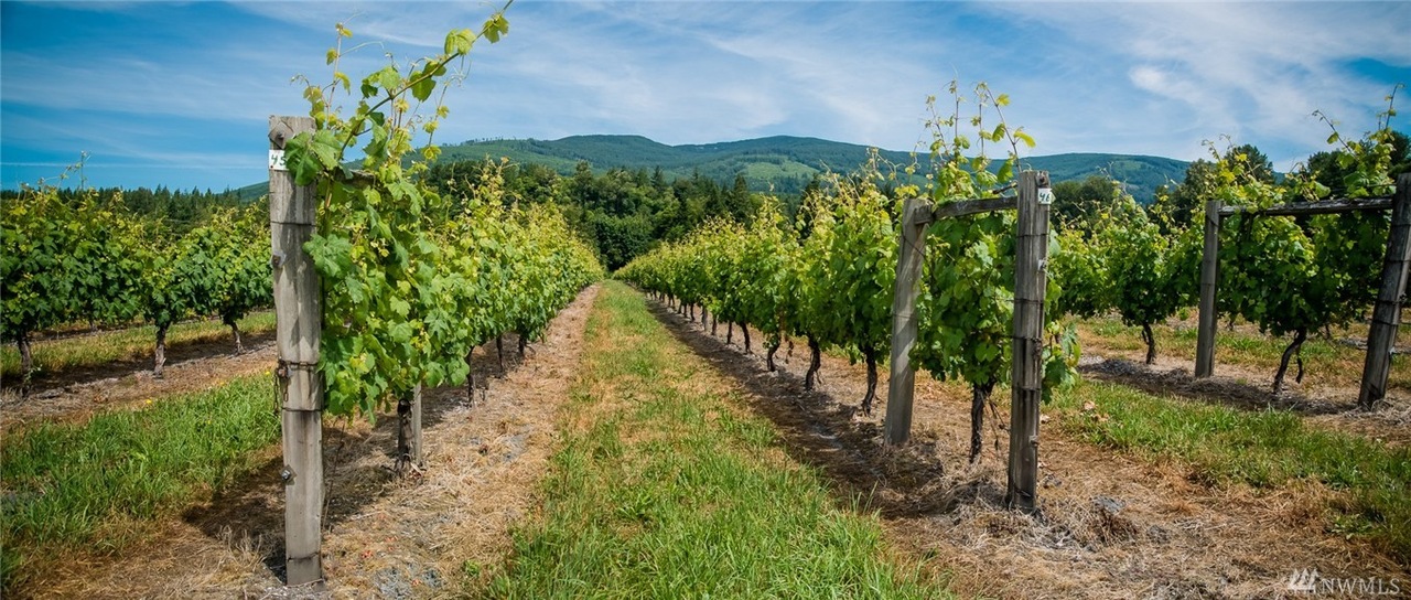 Beautiful, working winery for sale in Sedro Woolley