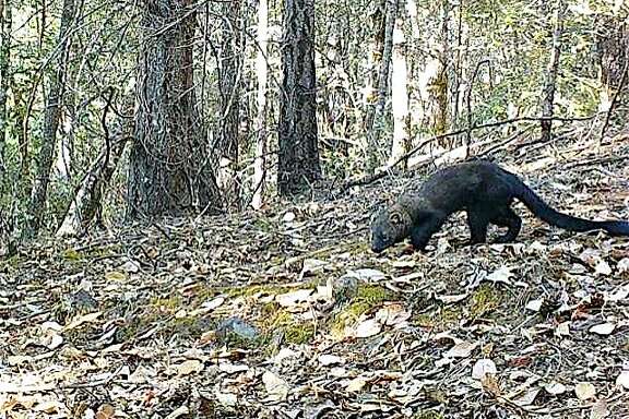 In shadow of Mt. Diablo, Round Valley Preserve a hidden gem - San ...