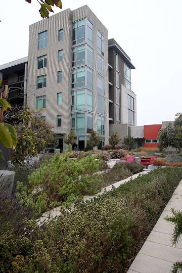 Bill would encourage rooftop gardens on new SF buildings