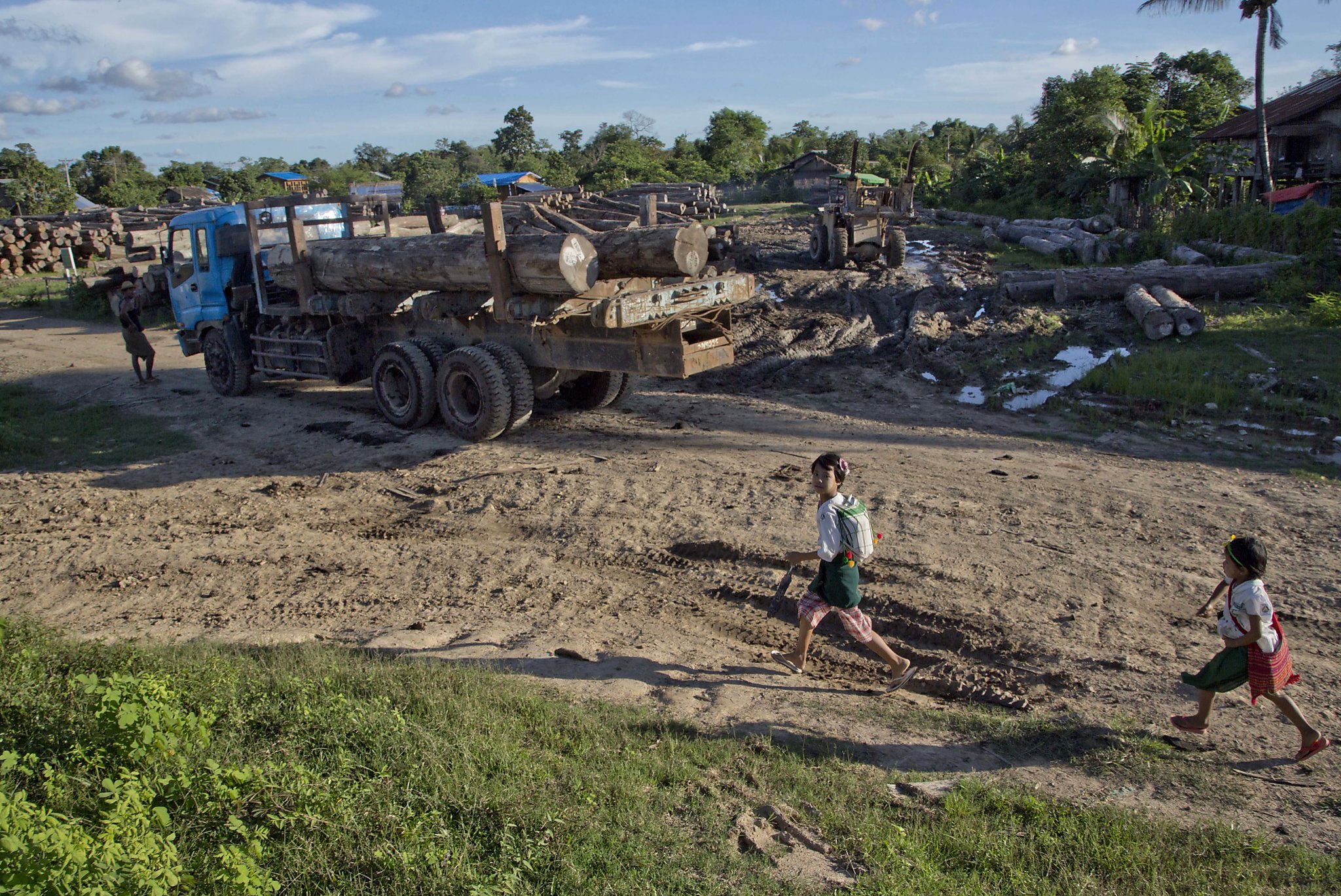 Myanmar forest-cutting continues despite government efforts