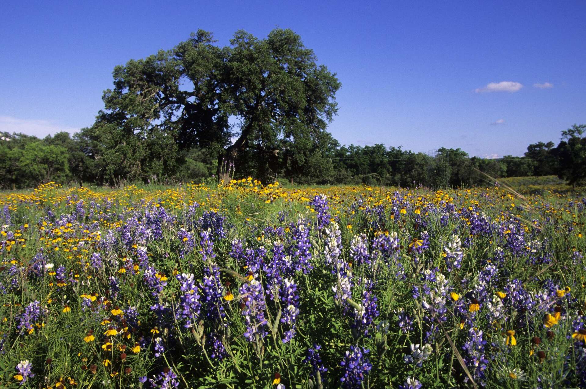 The most beautiful places in Texas