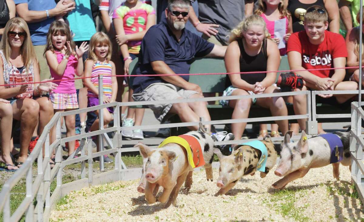 Photos: Cobleskill Sunshine Fair opens
