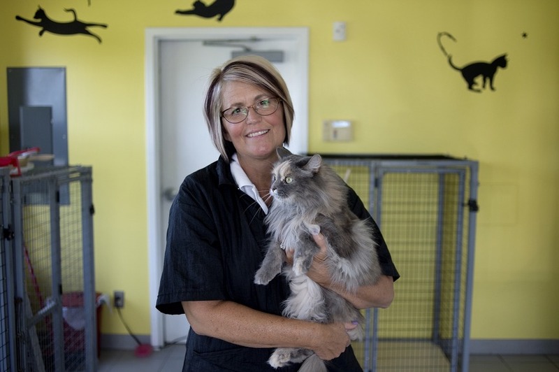 Foxbrook Kennel nets three Readers' Choice Awards