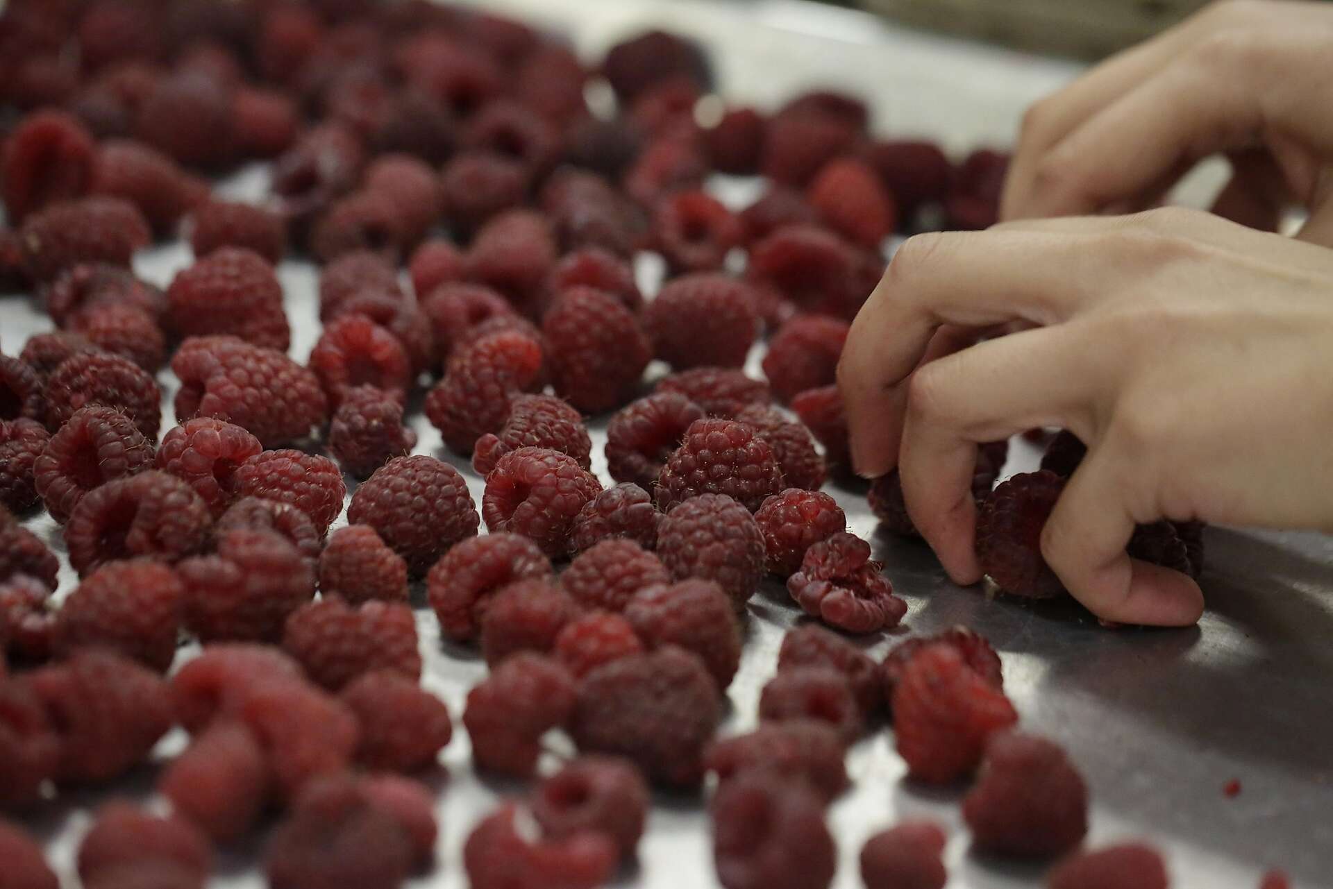 Jamnation builds a fair-trade jam empire from the Bayview