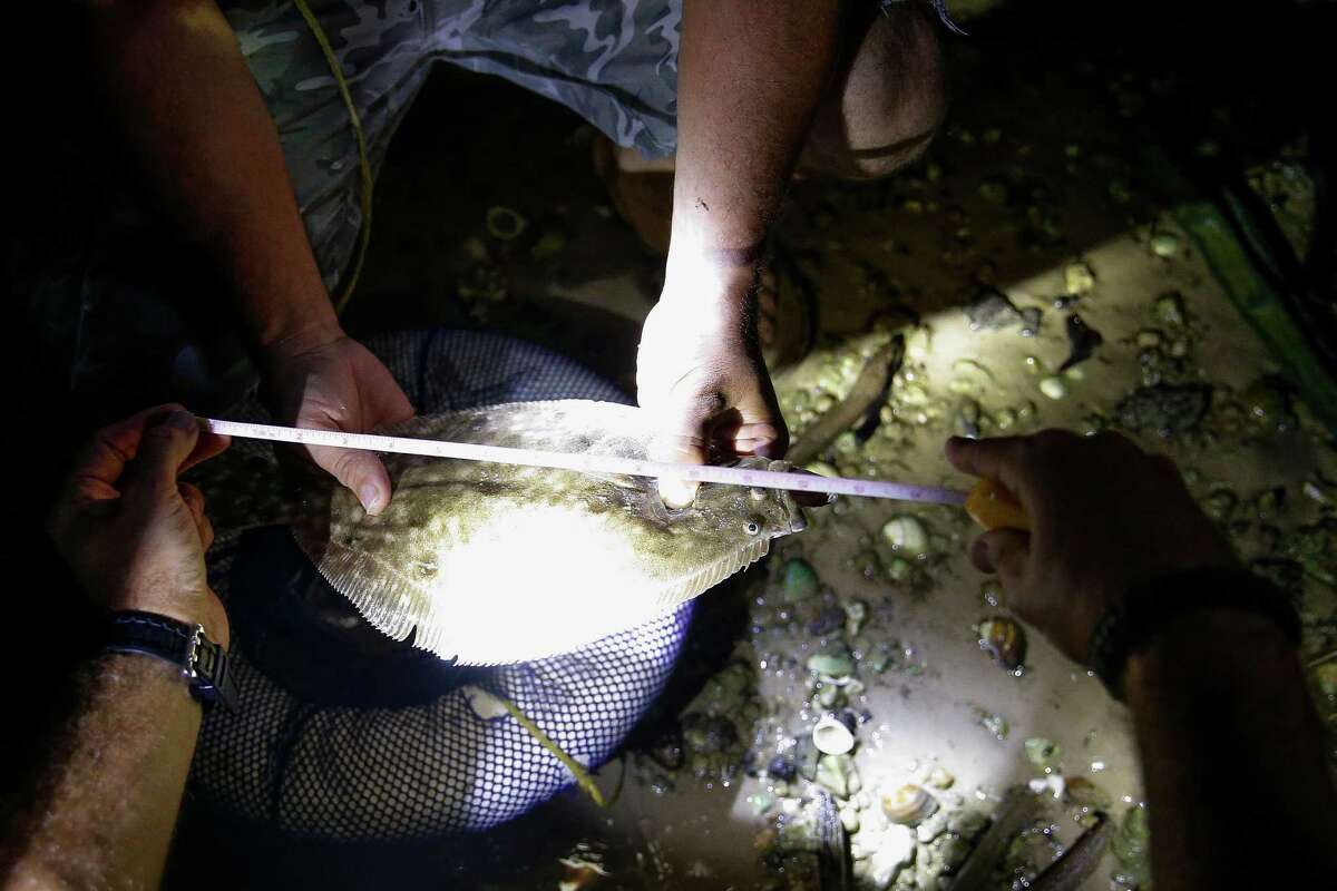 Game wardens: stewards of Texas resources