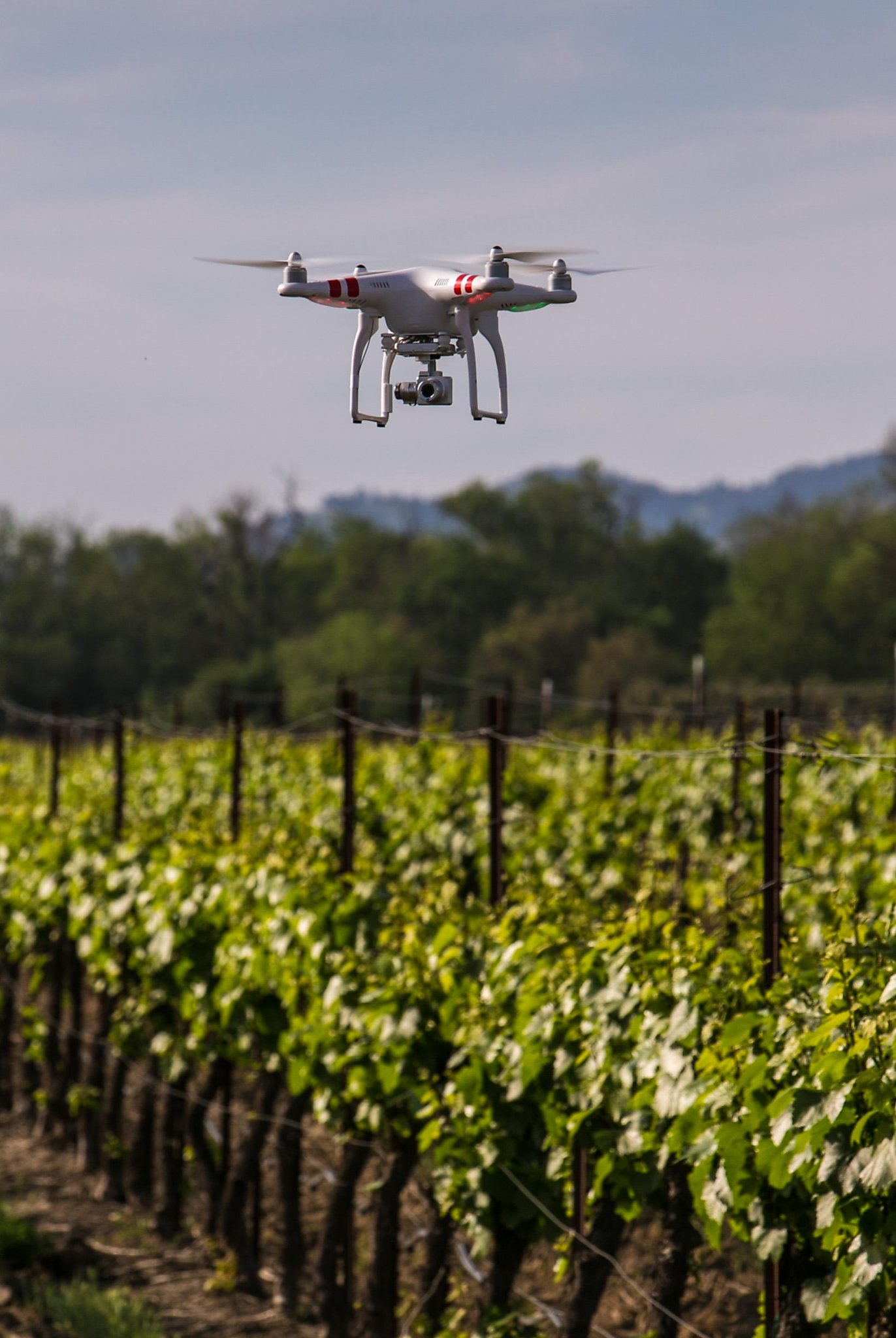 Drones growing as a tool on California farms