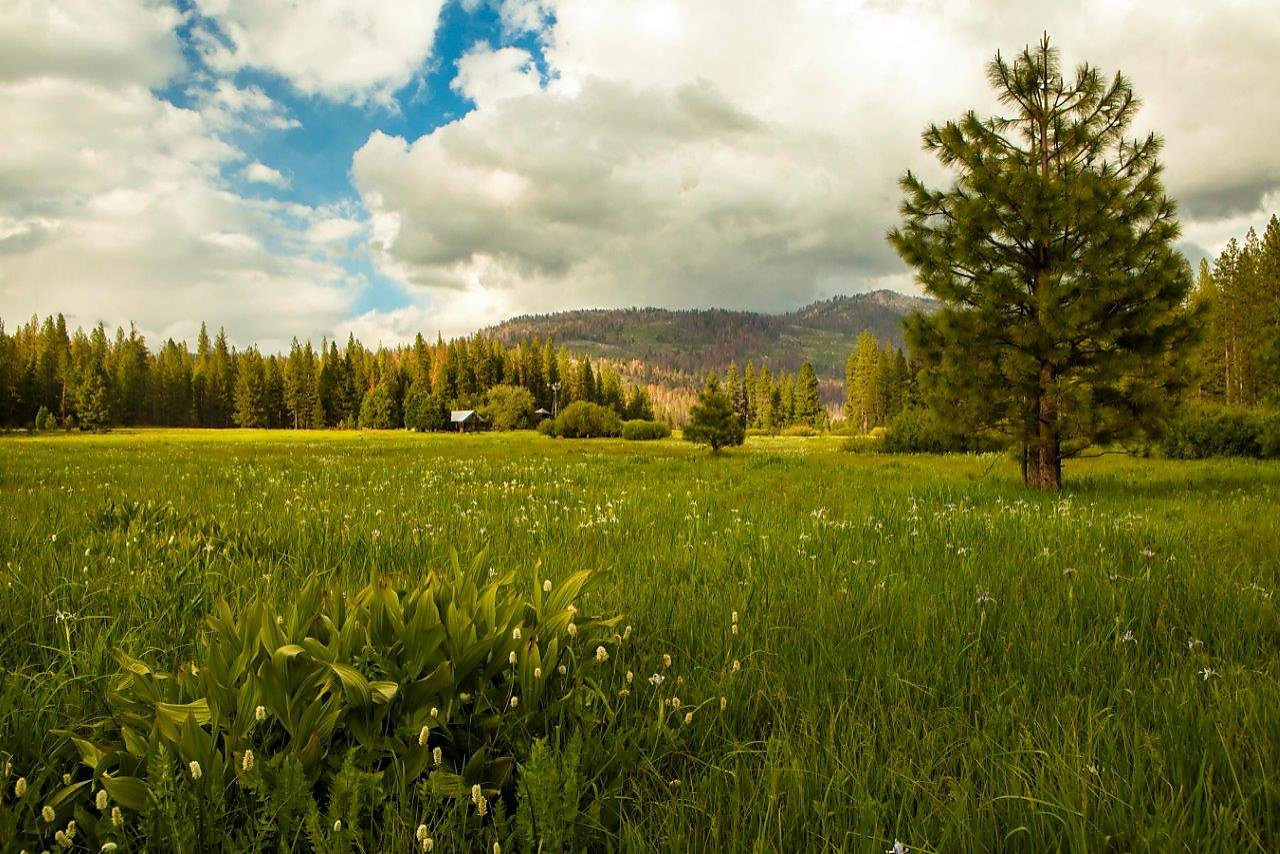 Yosemite announces biggest expansion in decades