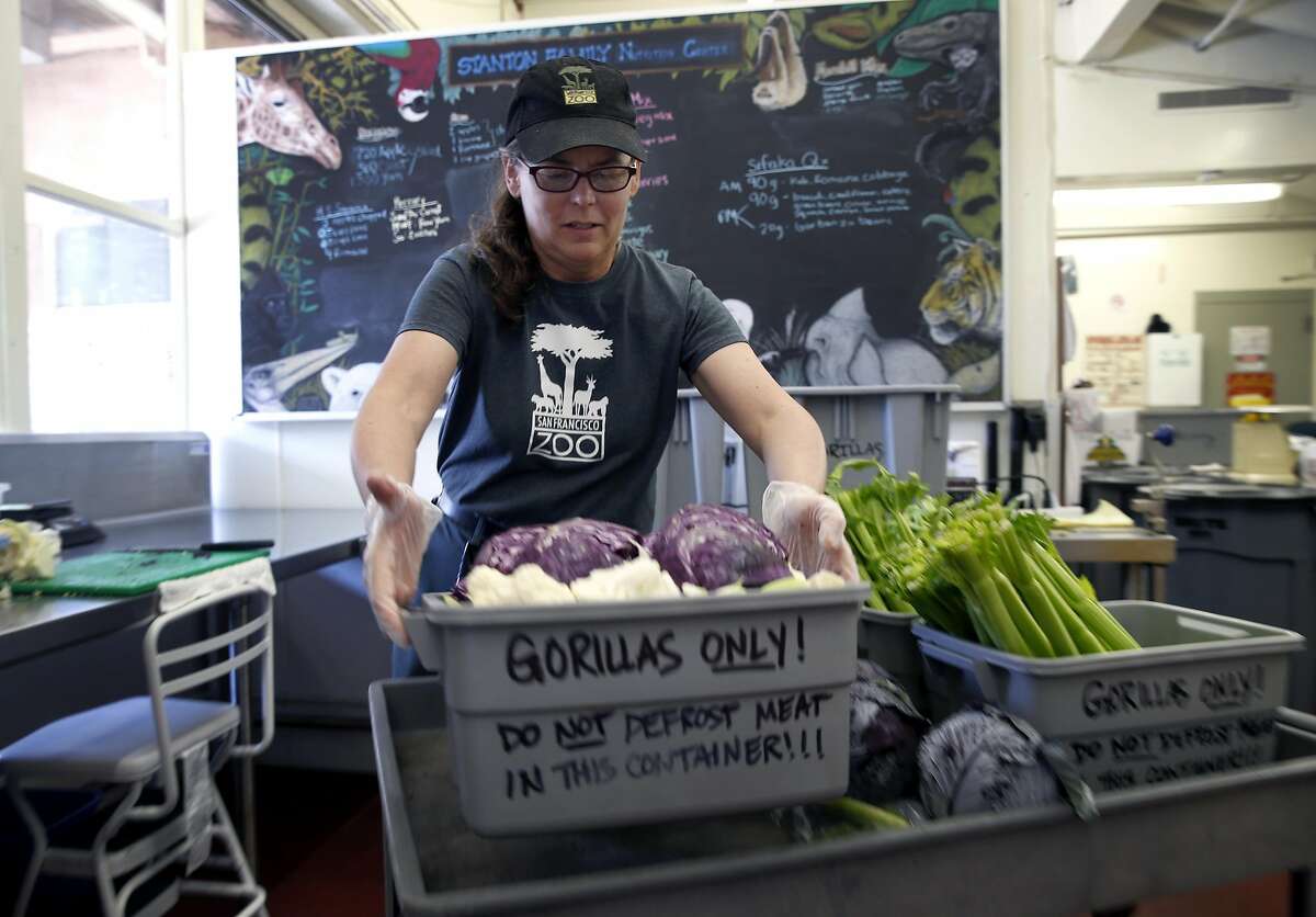 It takes a lot of work to hold a zoo animal’s interest at dinner