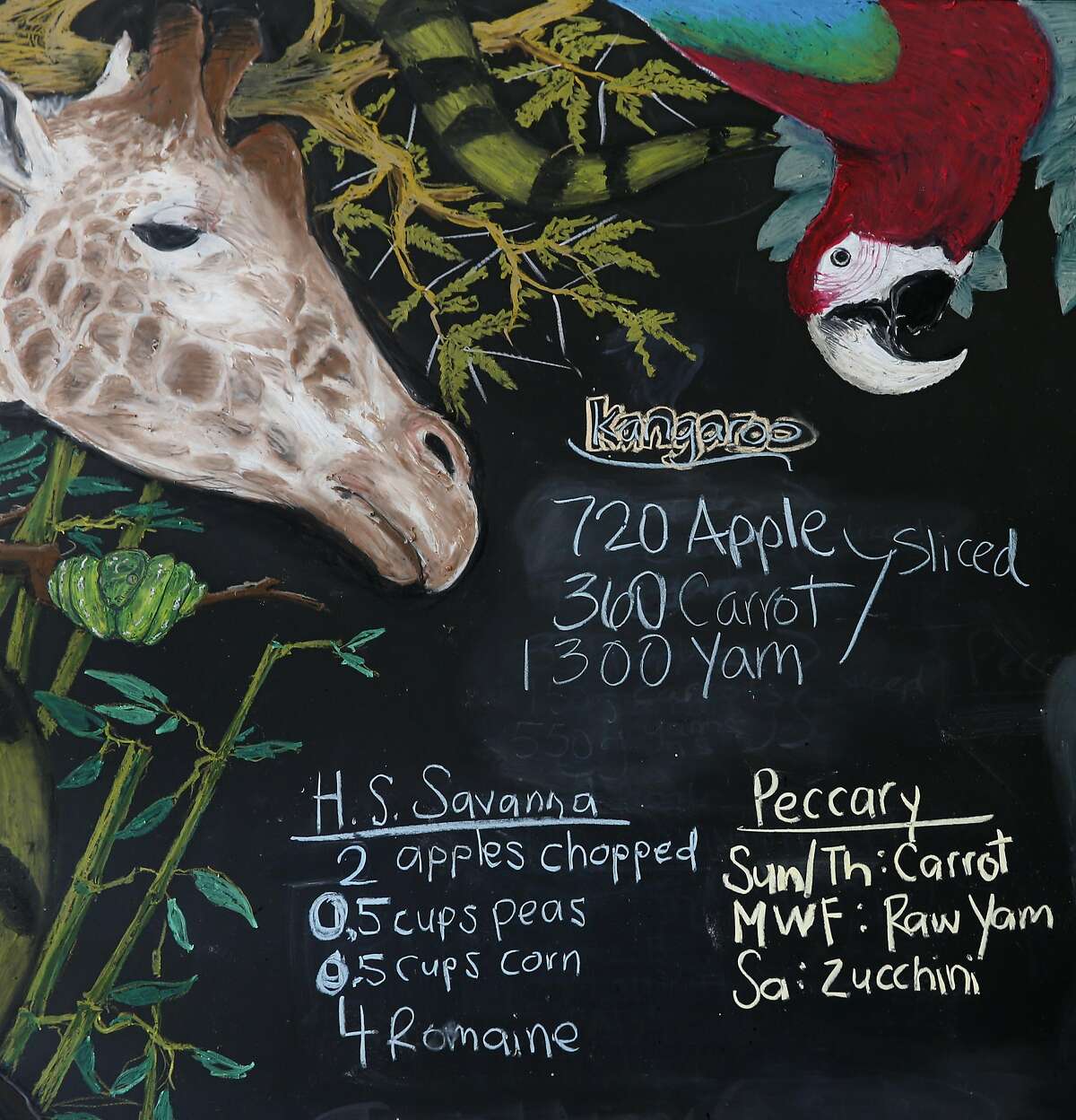 It takes a lot of work to hold a zoo animal’s interest at dinner