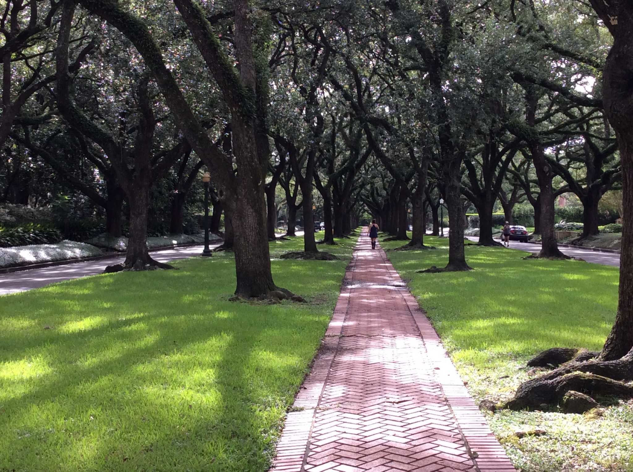 Houston’s most beautiful streets now off limits to photographers