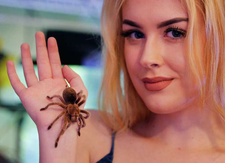 Adorable online animal care with Taylor Nicole Dean