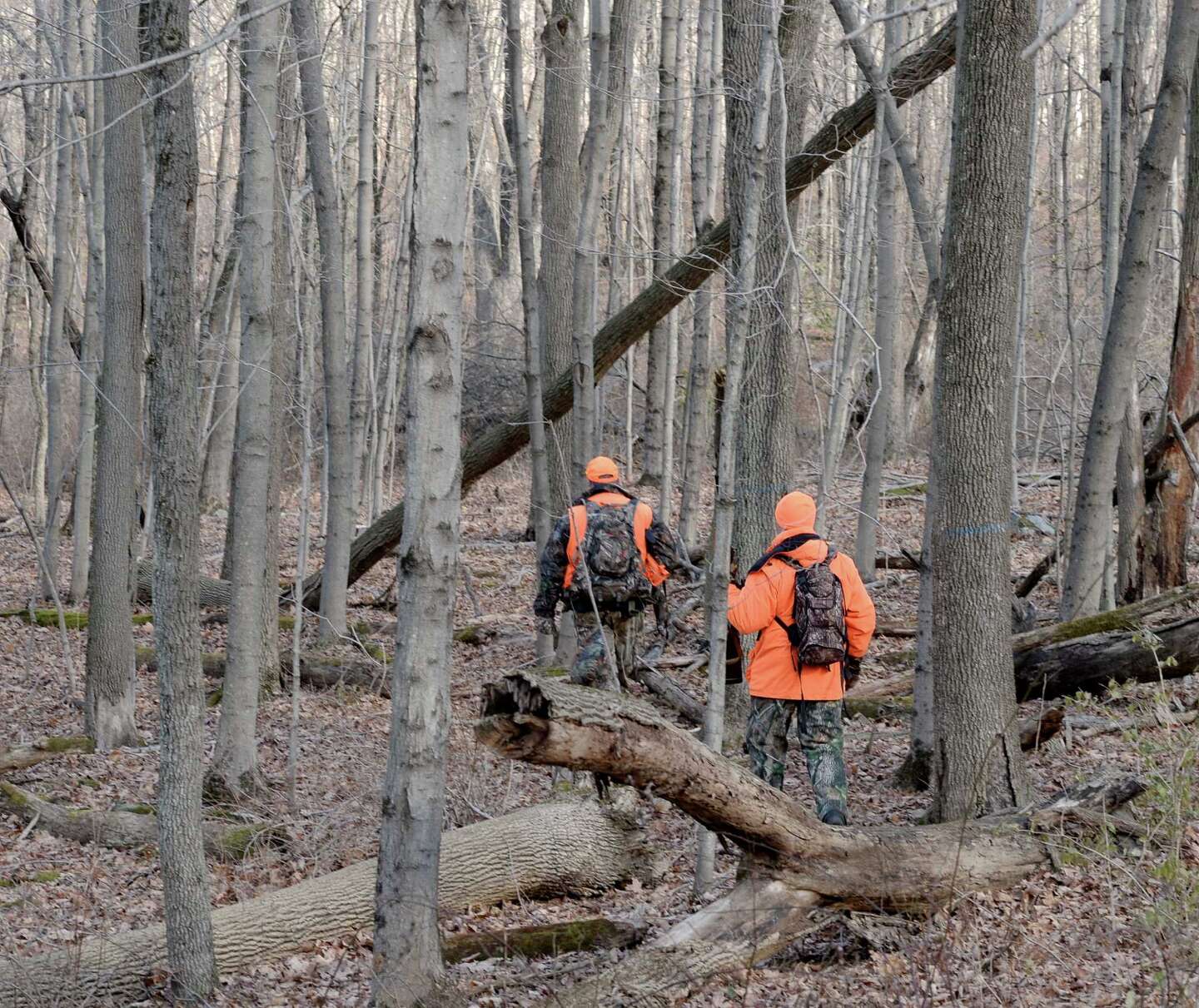 Hunting on Sundays in Connecticut will soon be legal