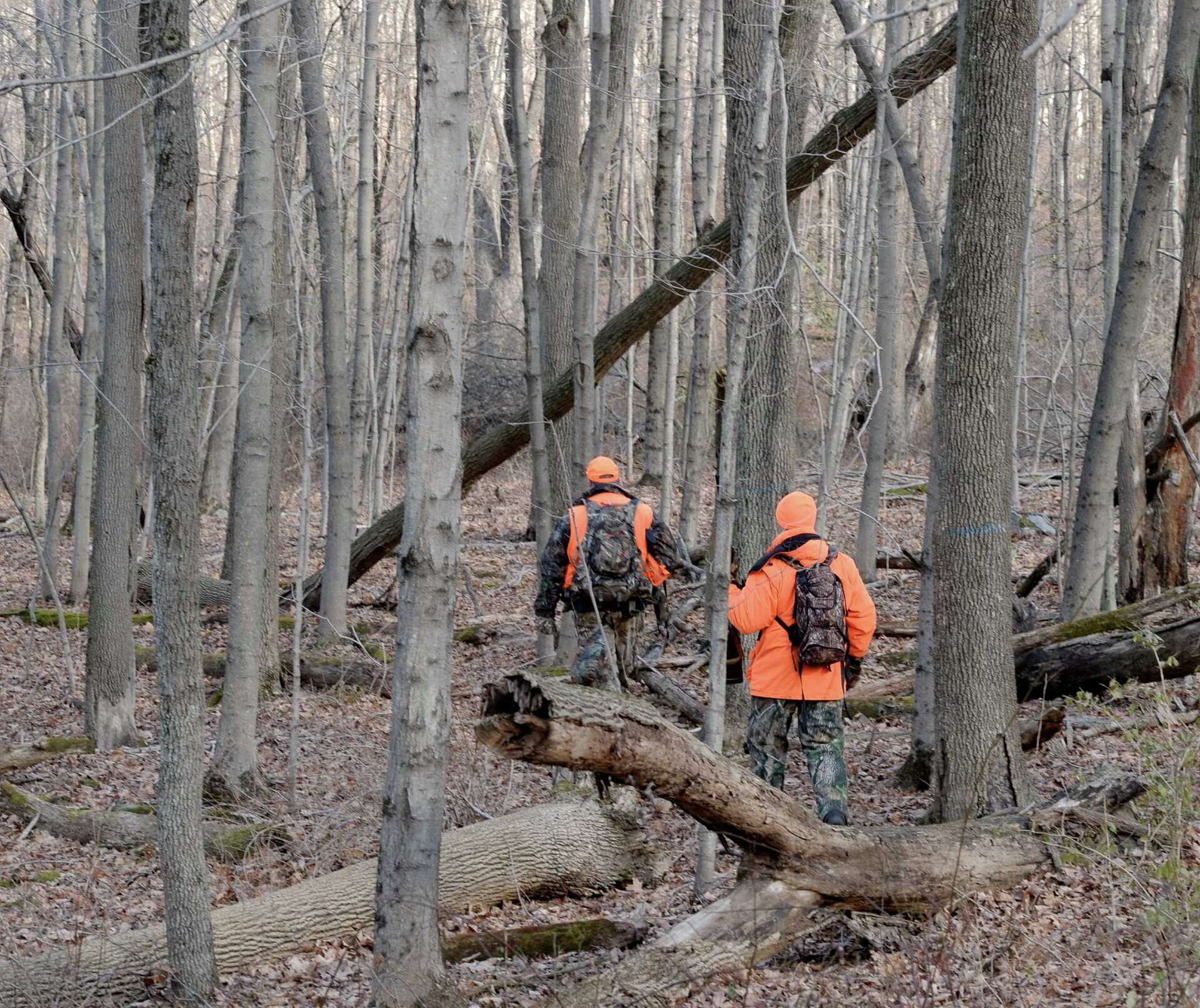 Hunting on Sundays in Connecticut will soon be legal