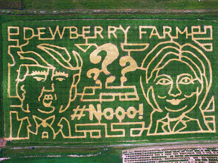 Presidential race inspires corn maze at Houston-area farm