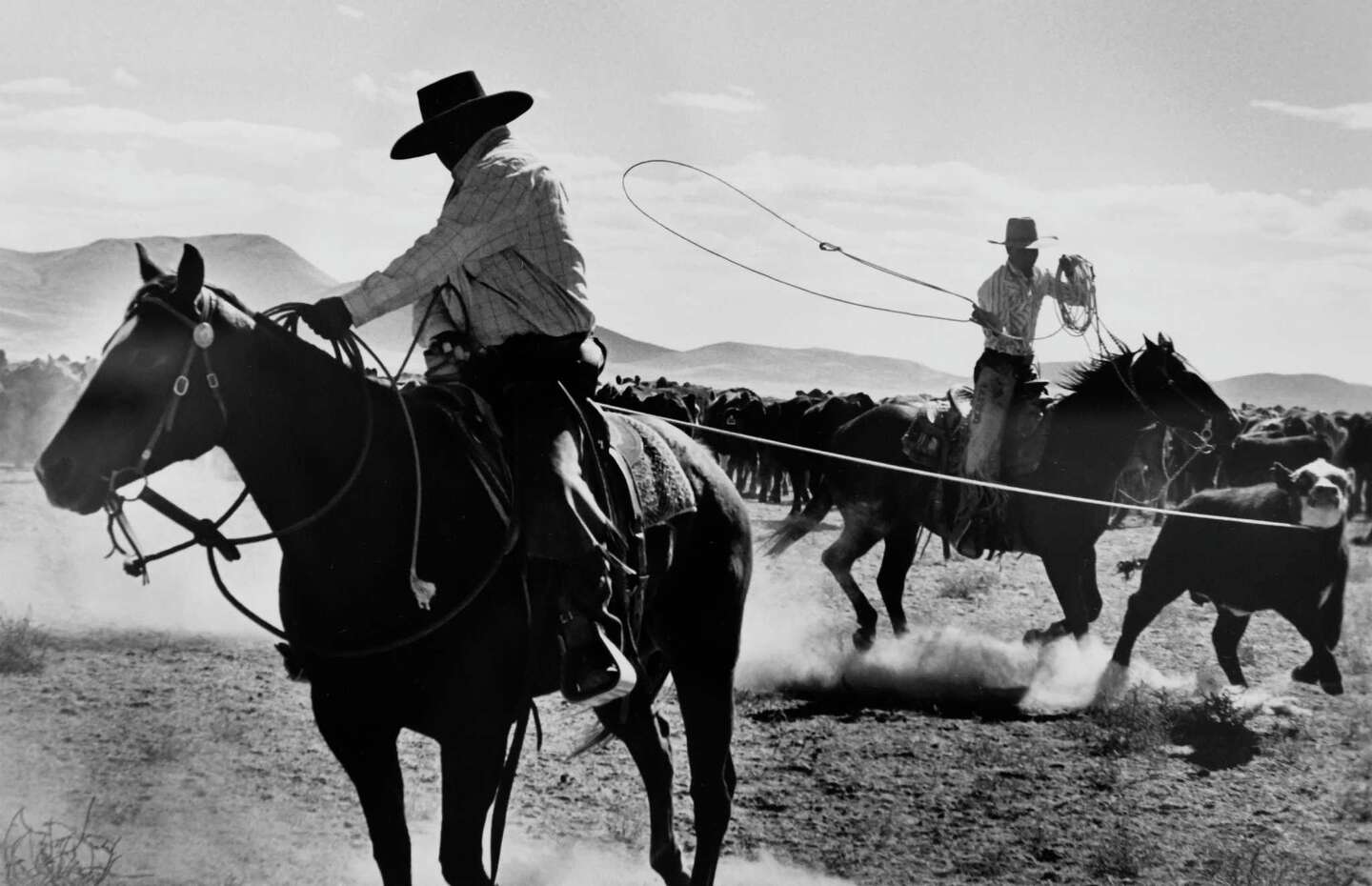 Flinn Gallery opens photography exihibit